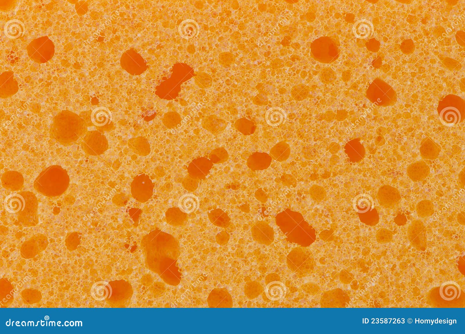 Orange sponge stock image. Image of material, structure - 23587263