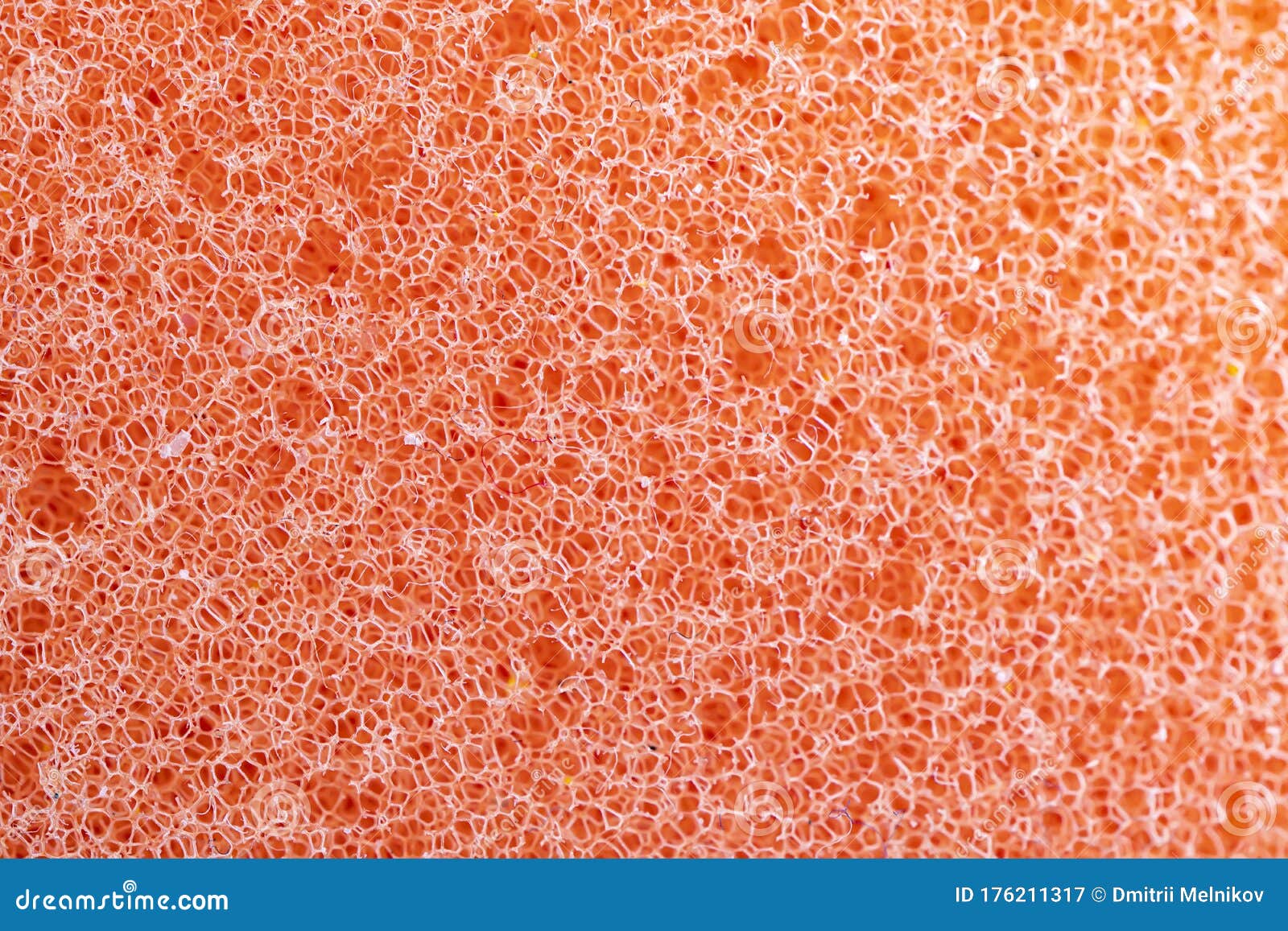 Orange Sponge Detail Texture, Sponge Texture Background. Closeup Macro ...