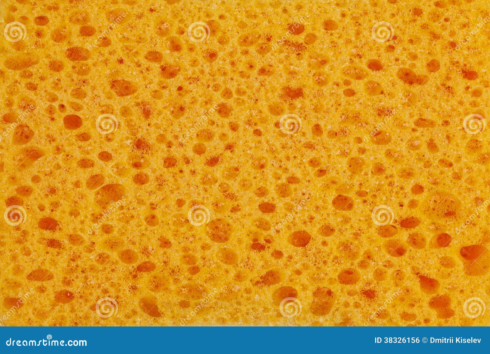 Sponge Foam Stock Photography | CartoonDealer.com #11790338