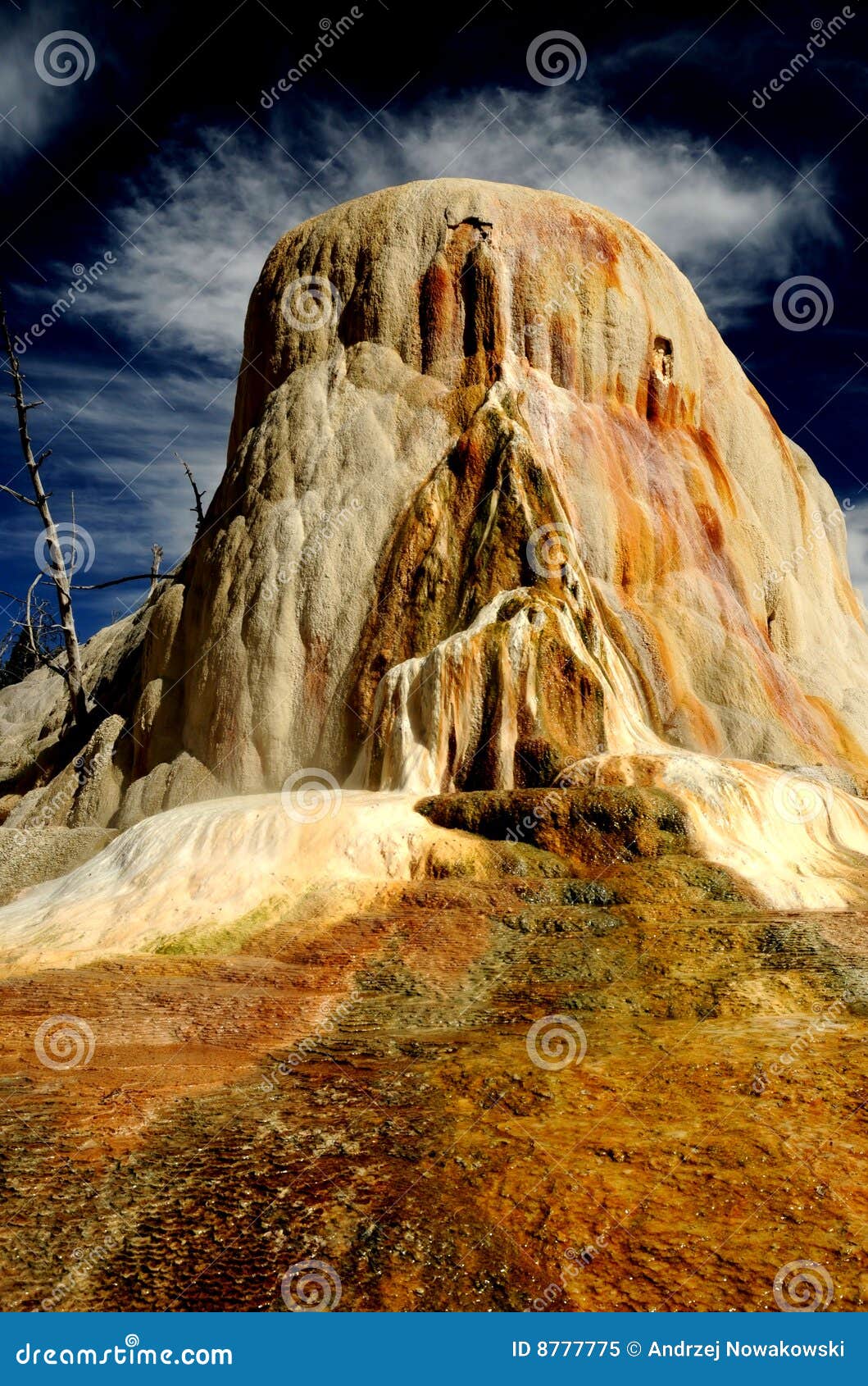 Orange Spring Mound Picture. Image: 8777775