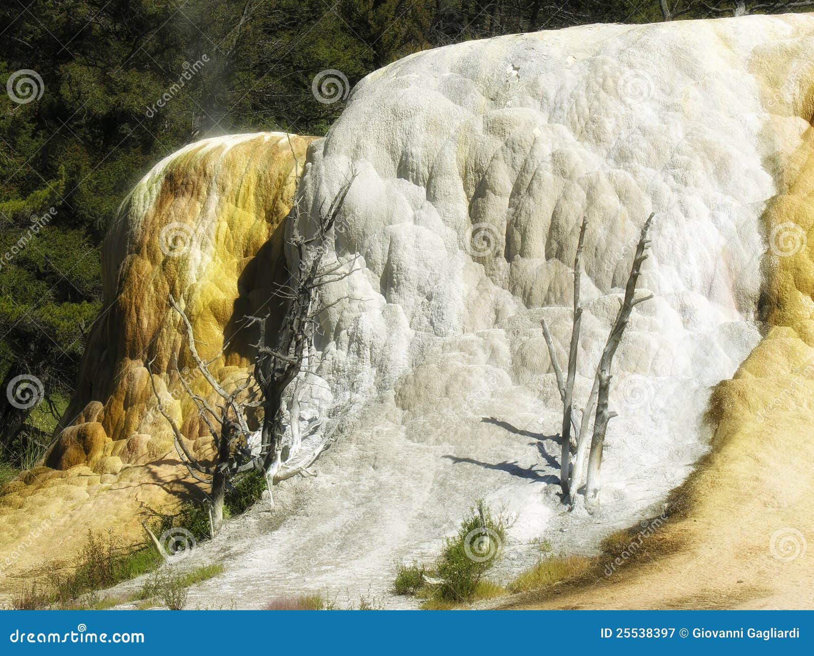 Orange Spring Mound, Yellowstone Stock Image - Image of pattern, forest ...