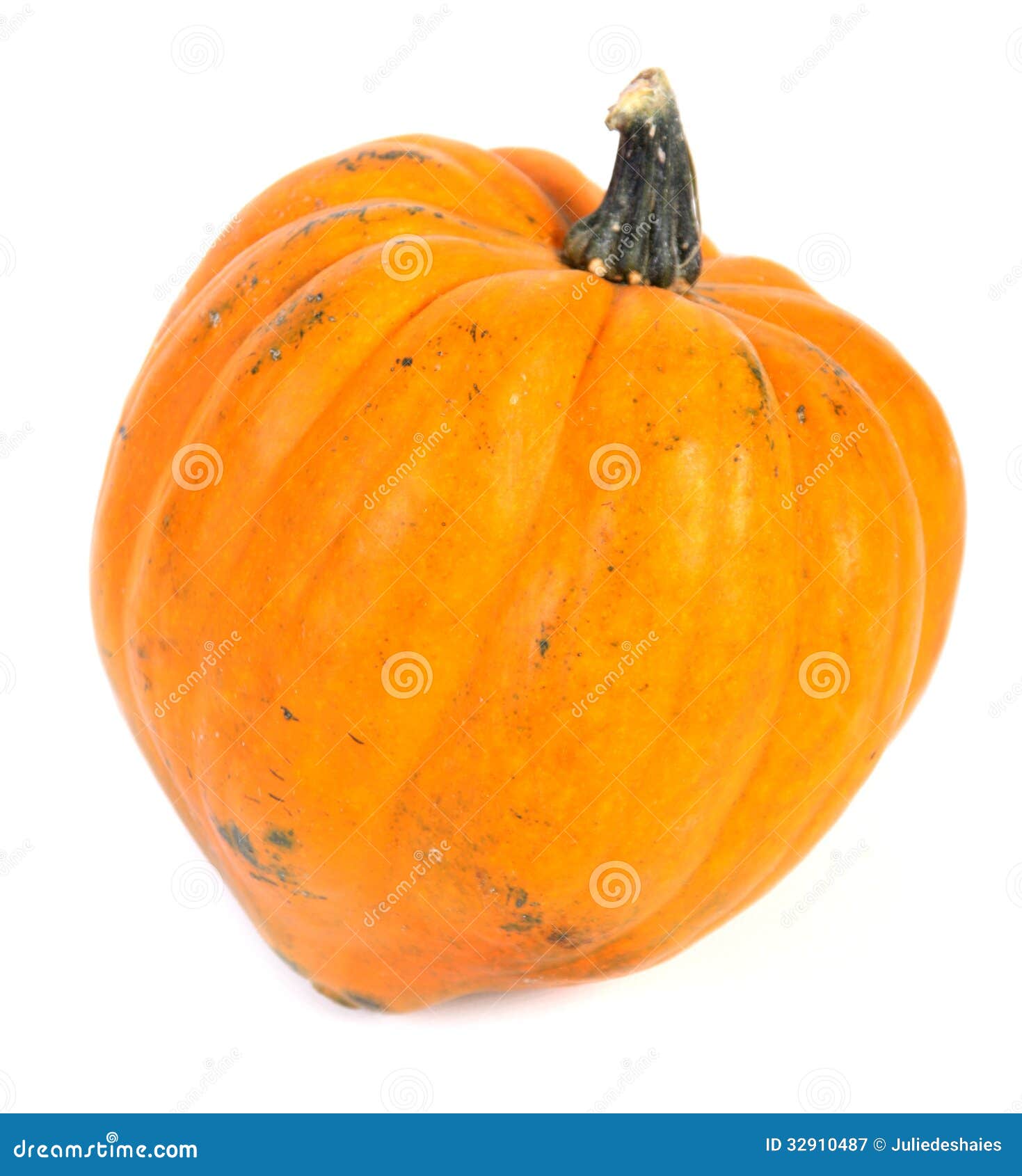 Orange squash stock image. Image of squash, full, acorn - 32910487