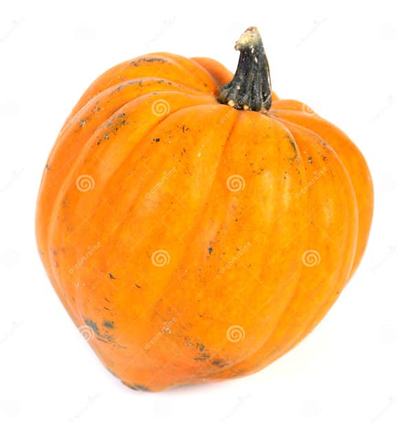 Orange squash stock image. Image of squash, full, acorn - 32910487