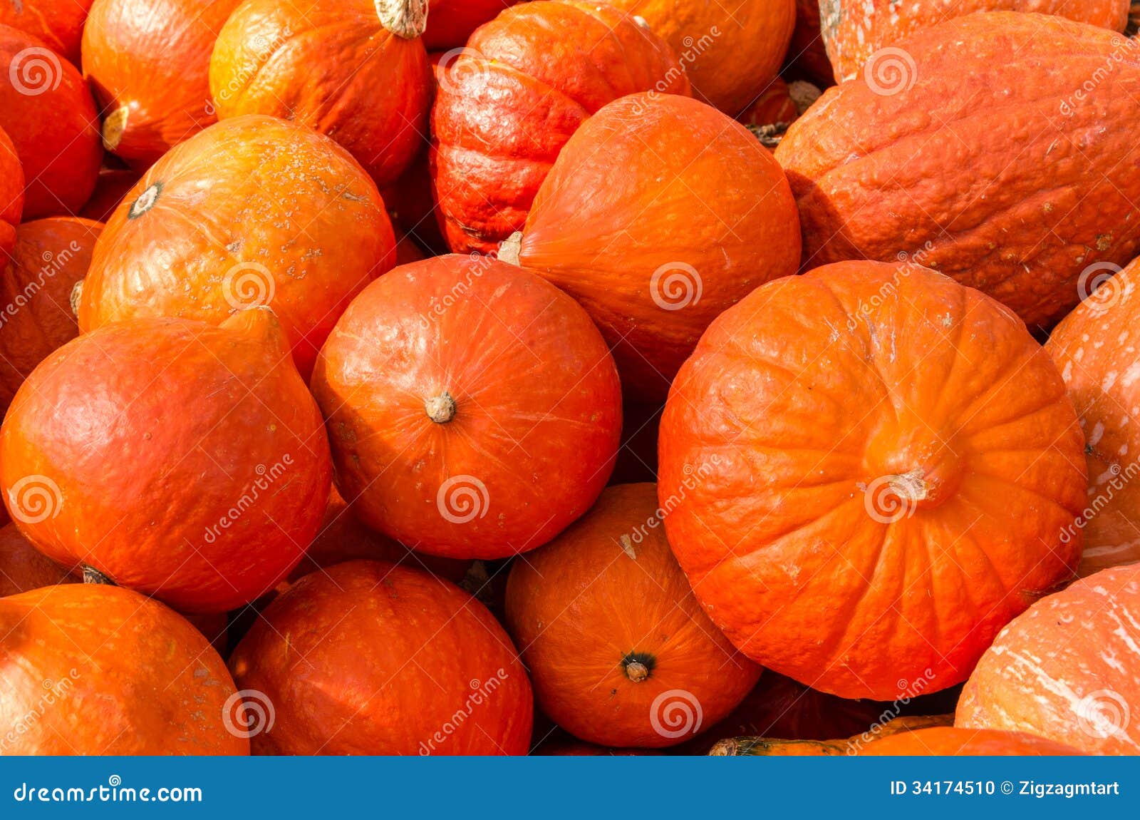 Orange Squash on Display at the Market Stock Photo - Image of vegetable ...
