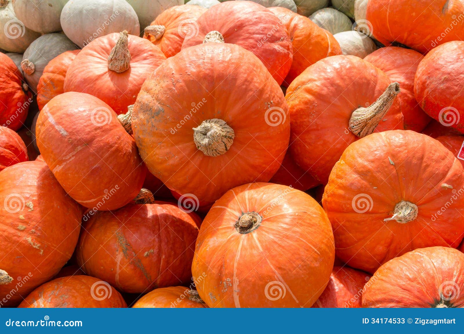 Orange Squash on Display at the Market Stock Image - Image of display ...