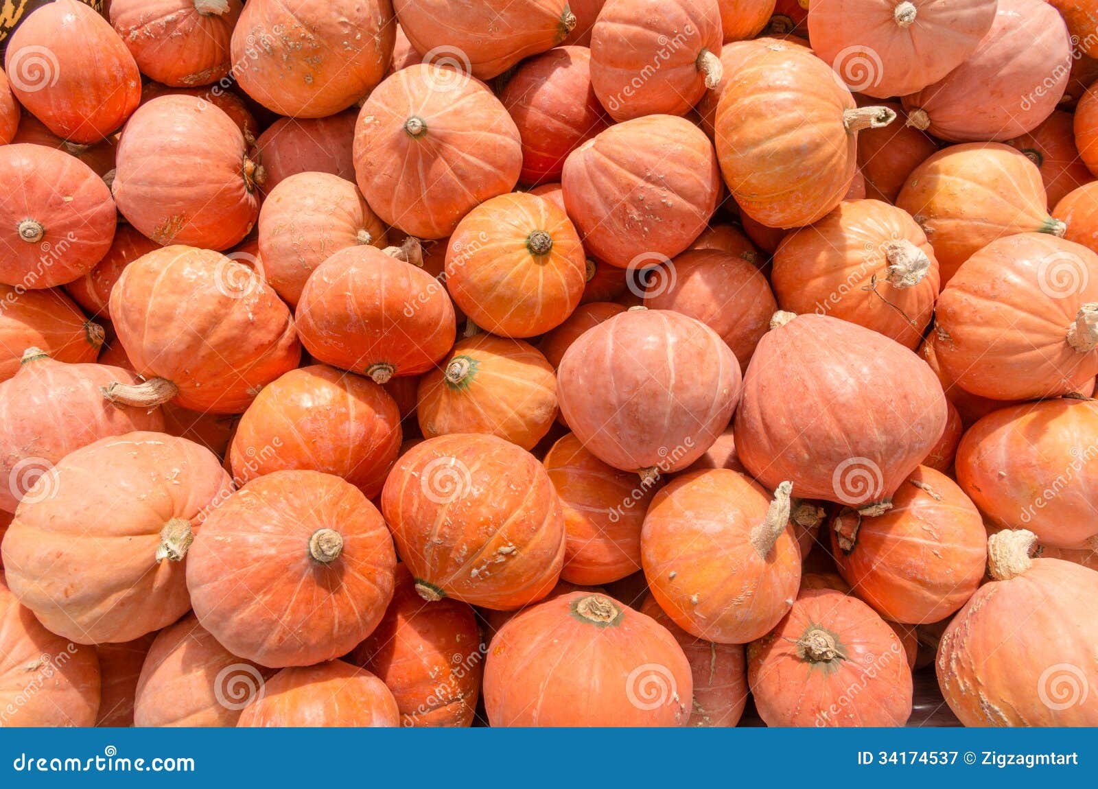 Orange Squash on Display at the Market Stock Image - Image of market ...