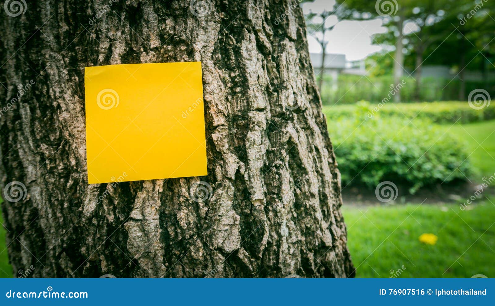 Orange Sticky Note on Tree with Graden Background. Stock Photo - Image ...