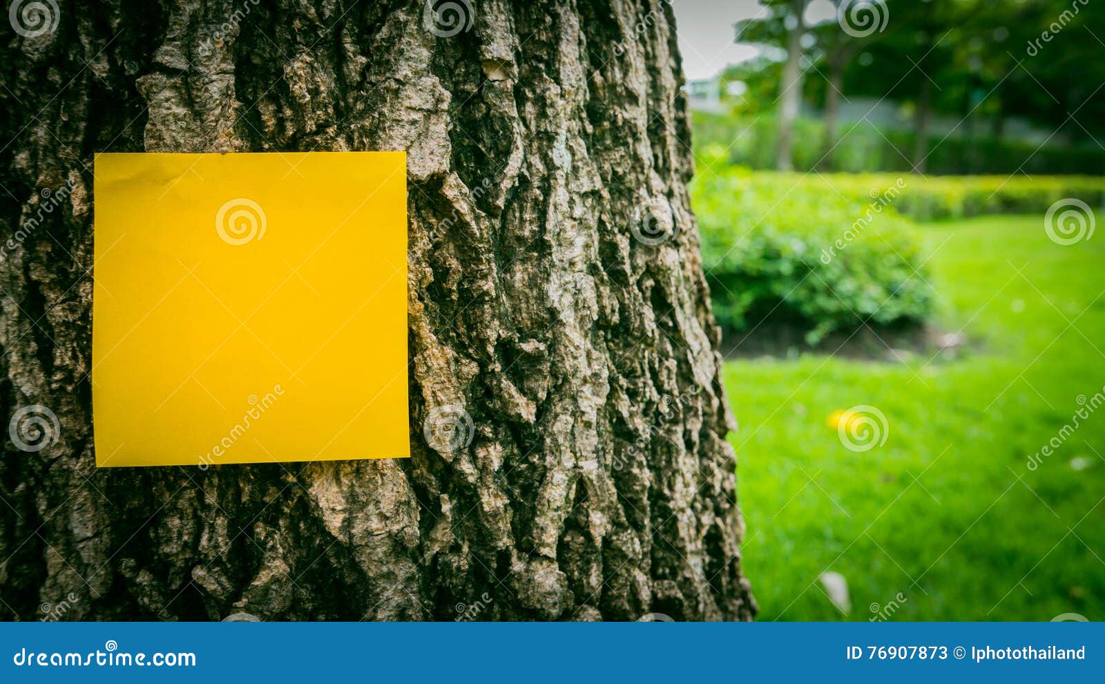 Orange Sticky Note on Tree with Graden Background. Stock Image - Image ...
