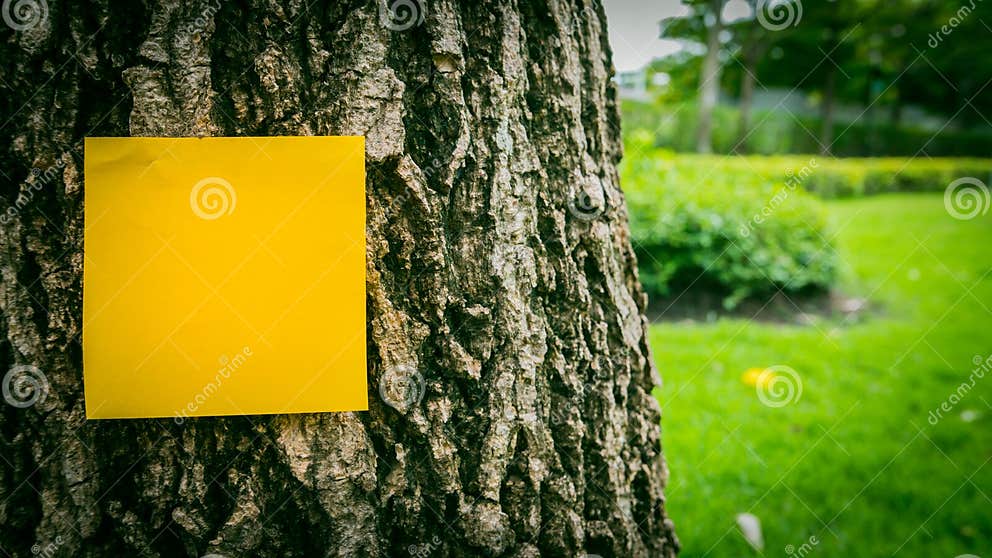 Orange Sticky Note on Tree with Graden Background. Stock Image - Image ...