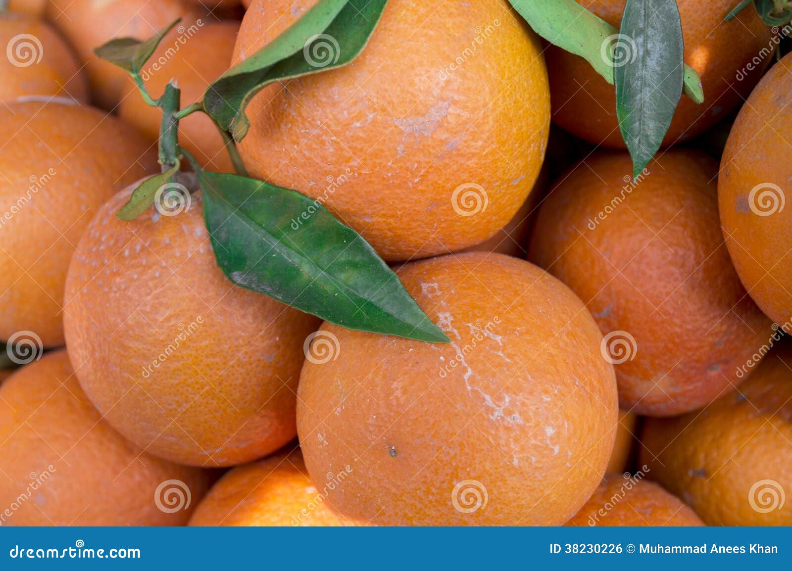 Asian Musami Orange Stock Photos - Free & Royalty-Free Stock Photos ...