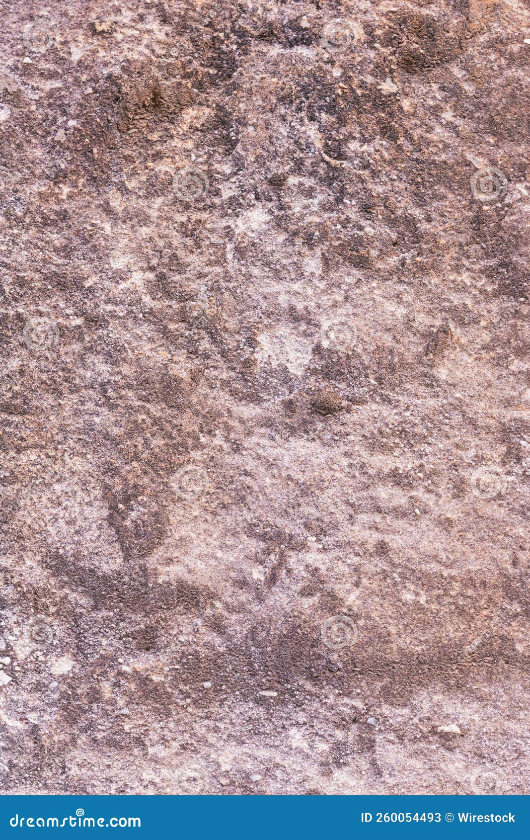 The Texture of the Mud on the Wall Mud Textures. Dry Cracked Clay ...