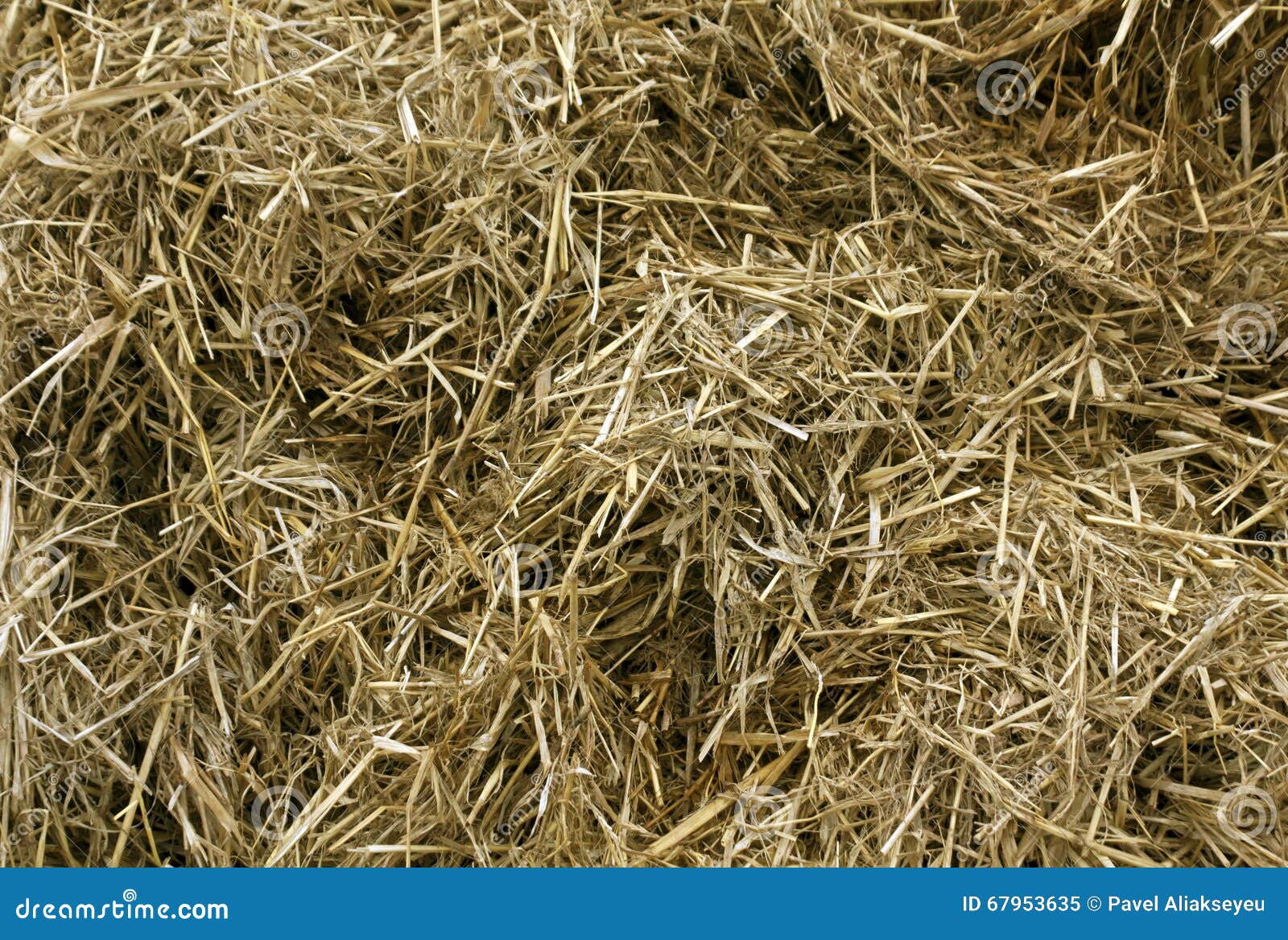 Straw Pile, Lined With A Layer. See Detailed Connections Clear. Stock ...