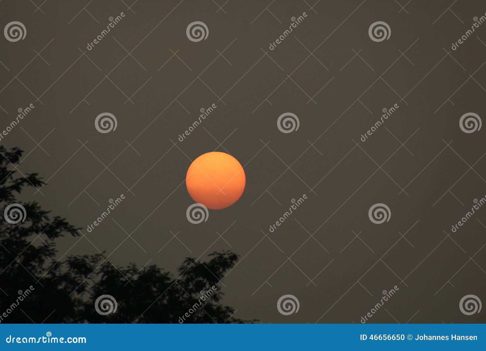 Orange Sun stock photo. Image of city, back, leaf, century - 46656650