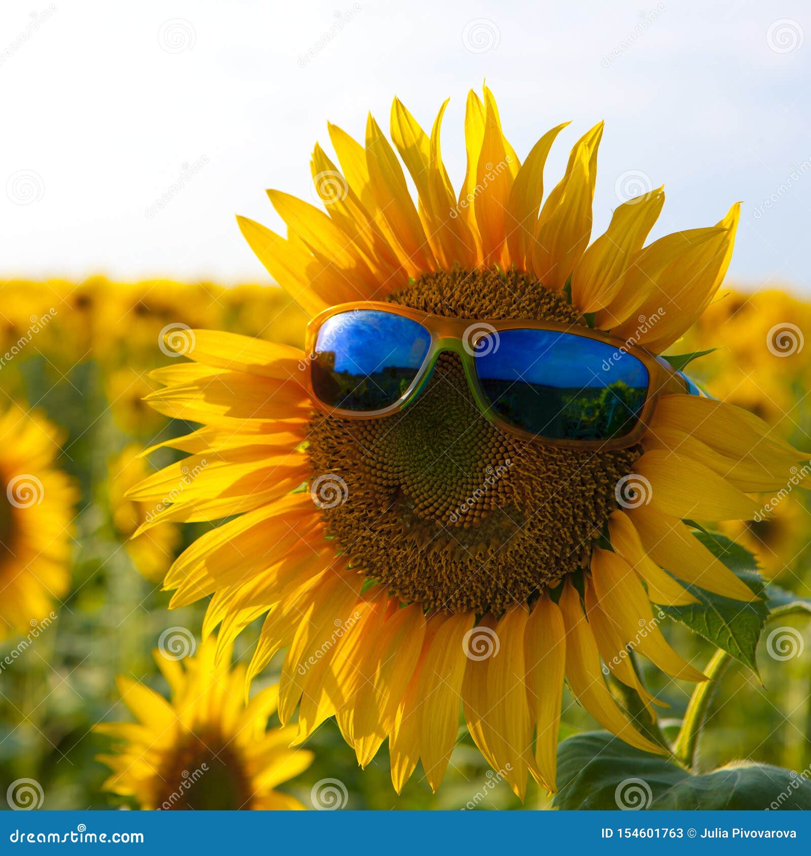Orange Sunflower With A Smile In Yellow Sunglasses With Blue Glasses In