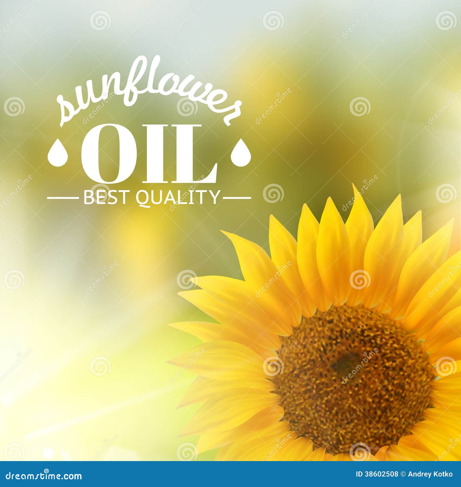 Orange sunflower with text stock vector. Illustration of color - 38602508