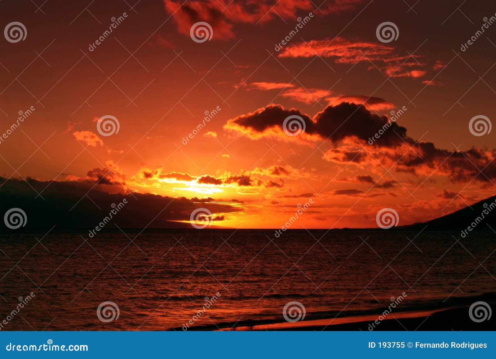 A Orange sunset stock image. Image of tree, cloud, rays - 193755