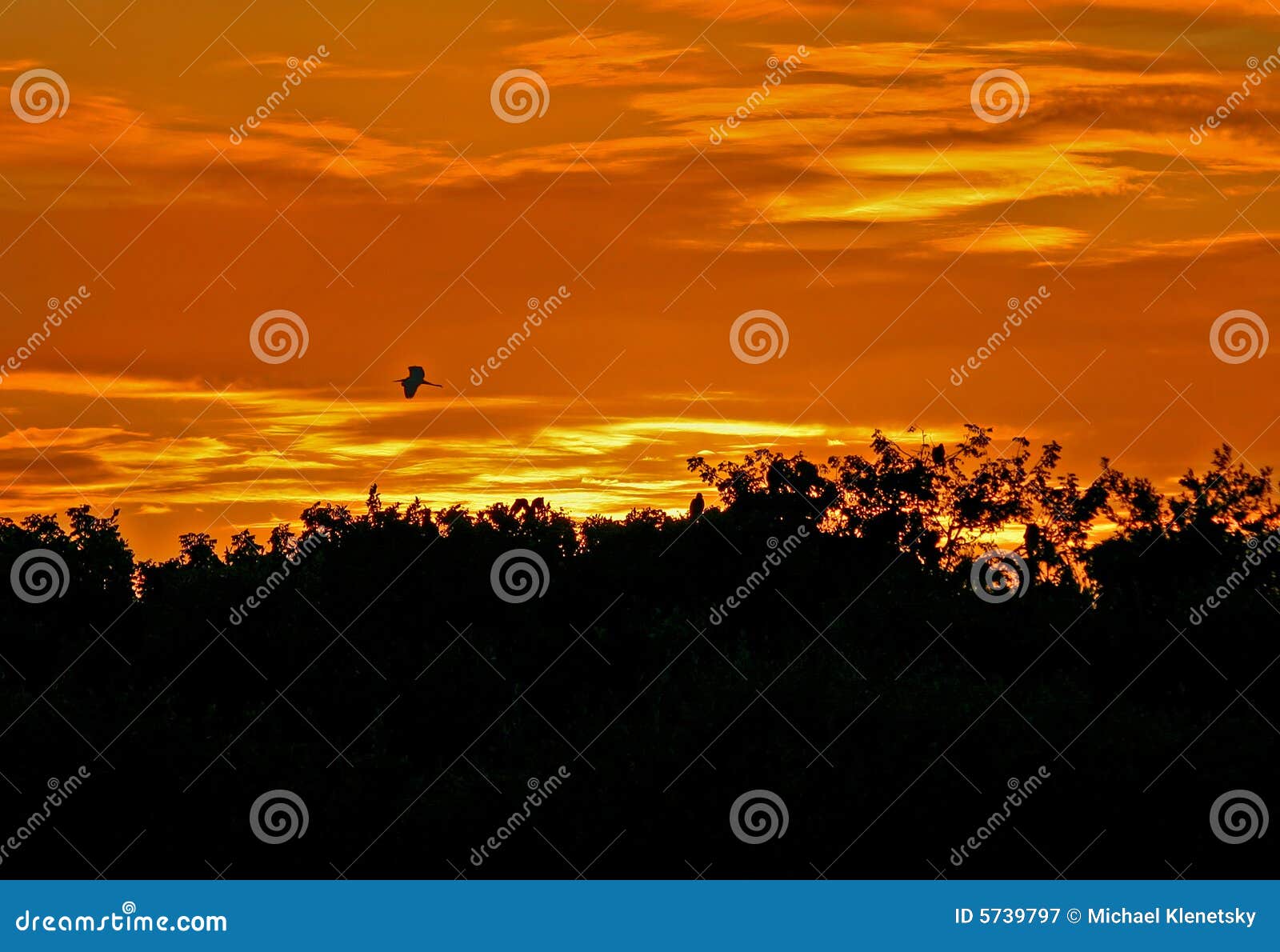 Orange Sunset stock image. Image of disk, nature, atmosphere - 5739797