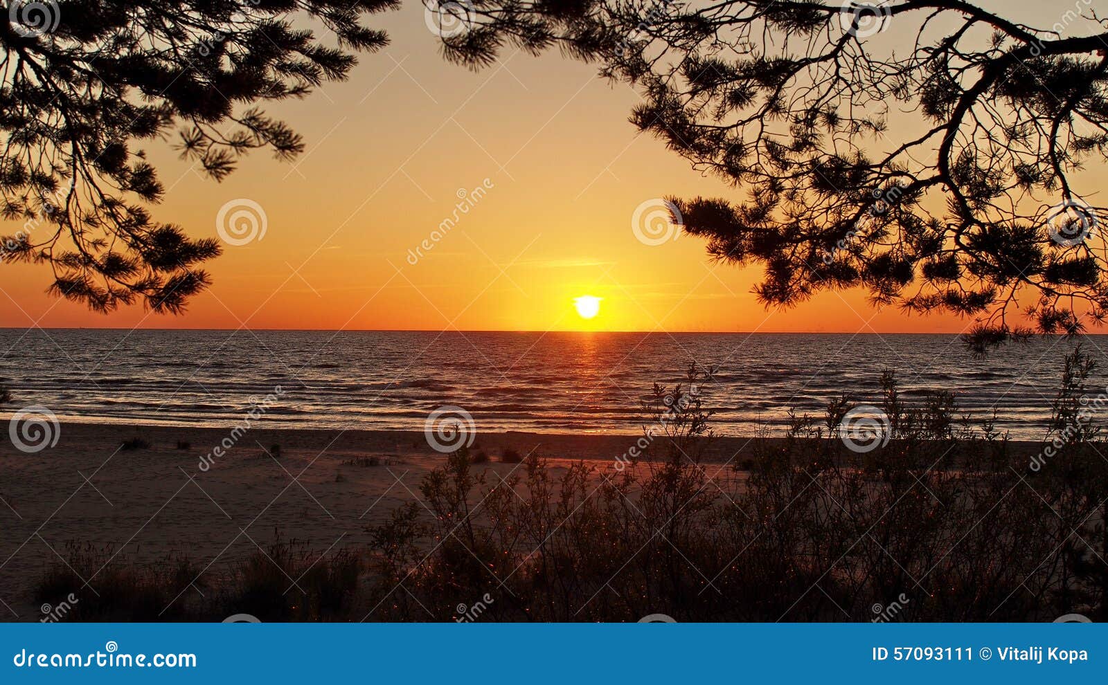 Orange Sunset and Trees on Sea Stock Image - Image of clouds, orange ...