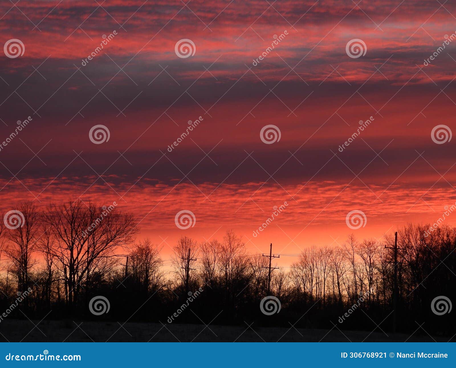 Pink and Orange Sunset Behind Country Tree Line in Winter Stock Image ...