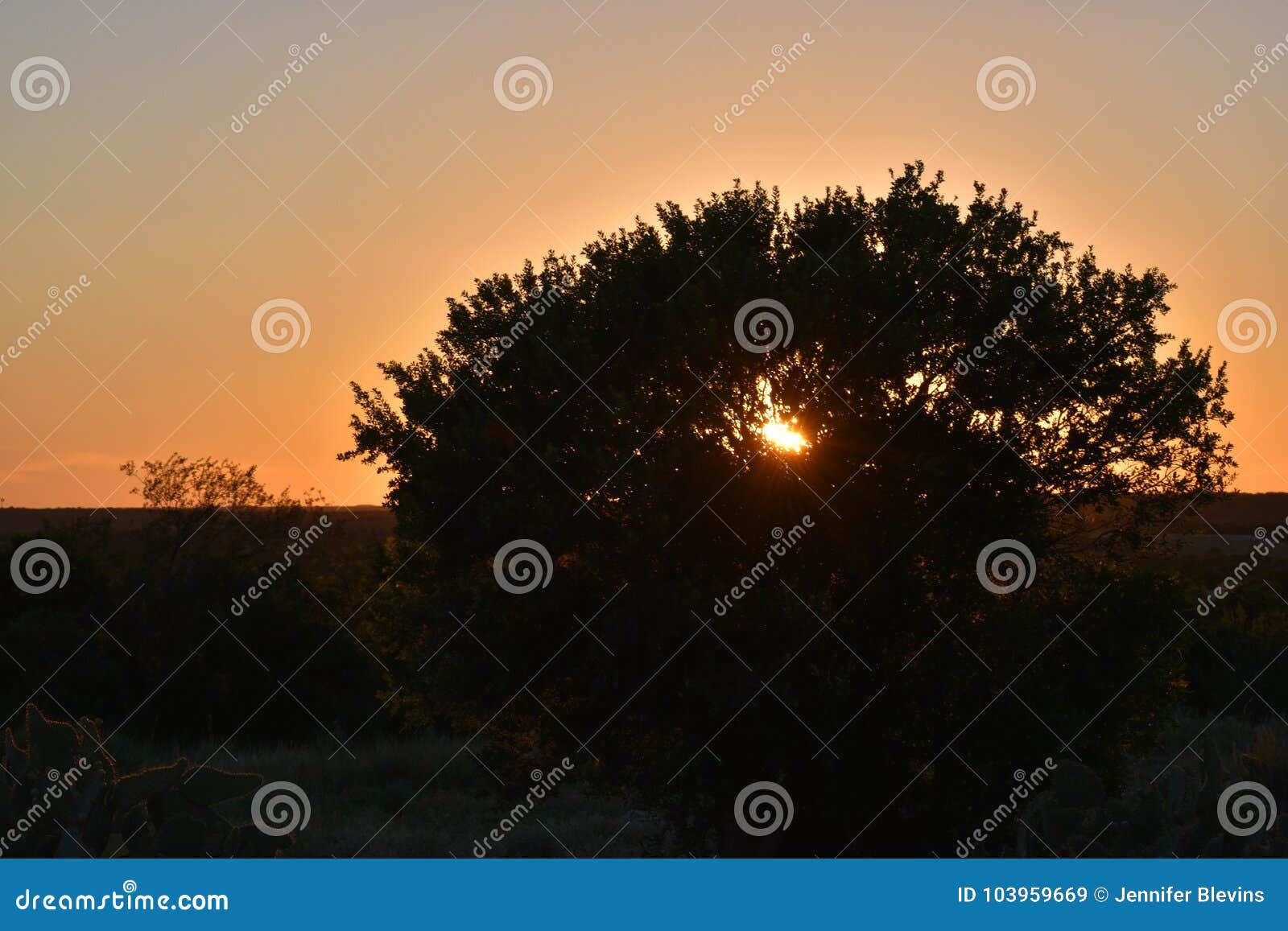 Orange Sunset landscape stock image. Image of outdoor - 103959669