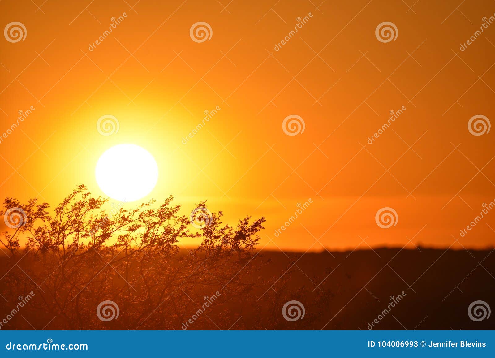 Orange Sunset landscape stock image. Image of background - 104006993