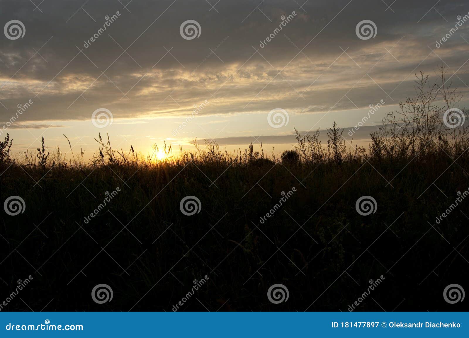 Orange Sunset in a Field with Flowers and Grass Stock Image - Image of ...