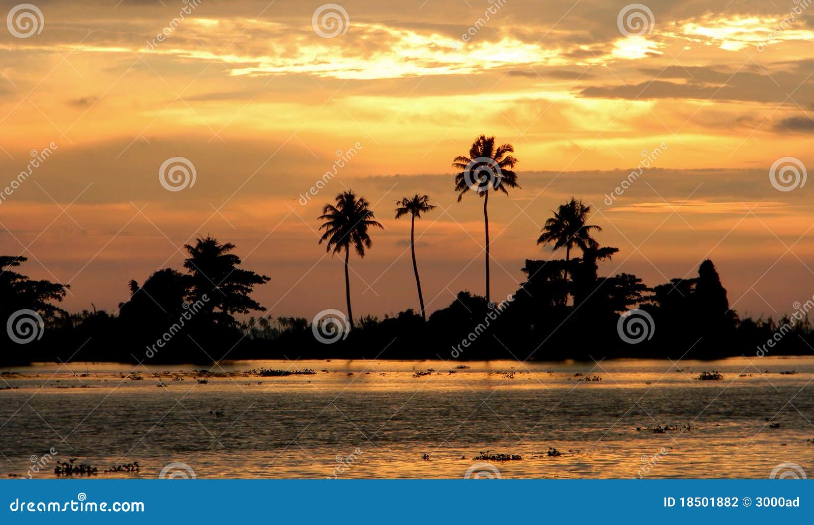 Orange Sunset in Kerala, India Stock Photo - Image of season, contrast ...