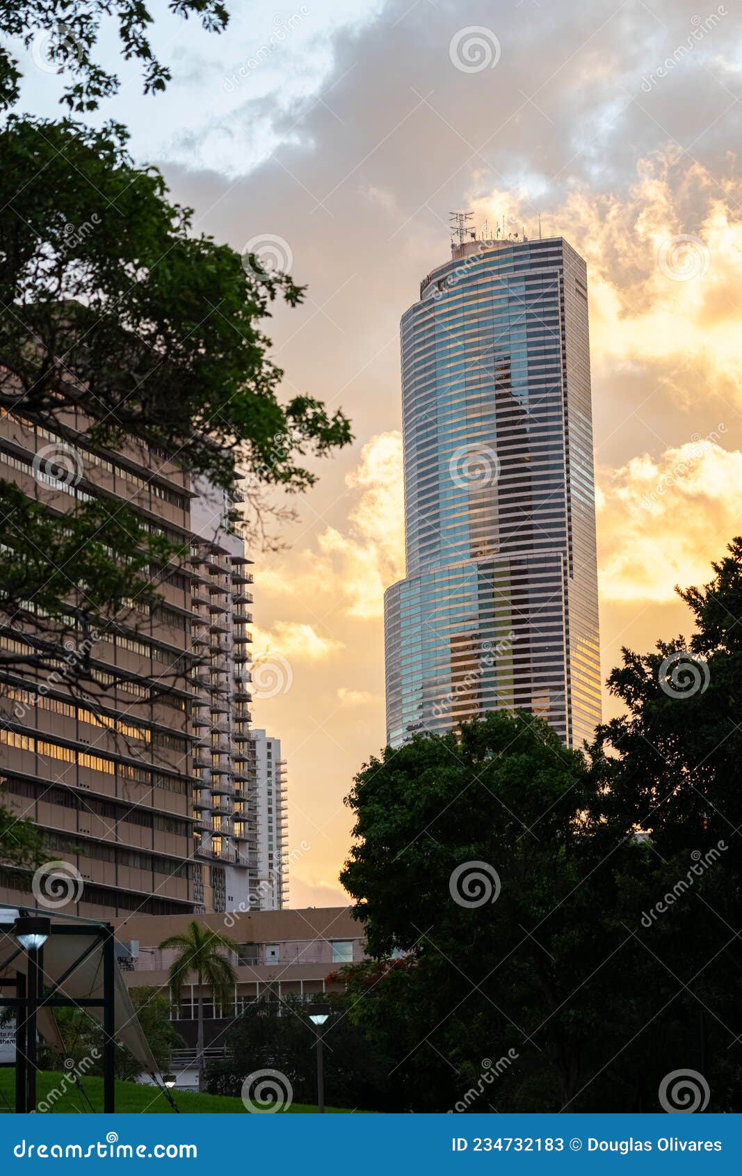Orange Sunset in Miami Downtown. Stock Image - Image of palm, blue ...