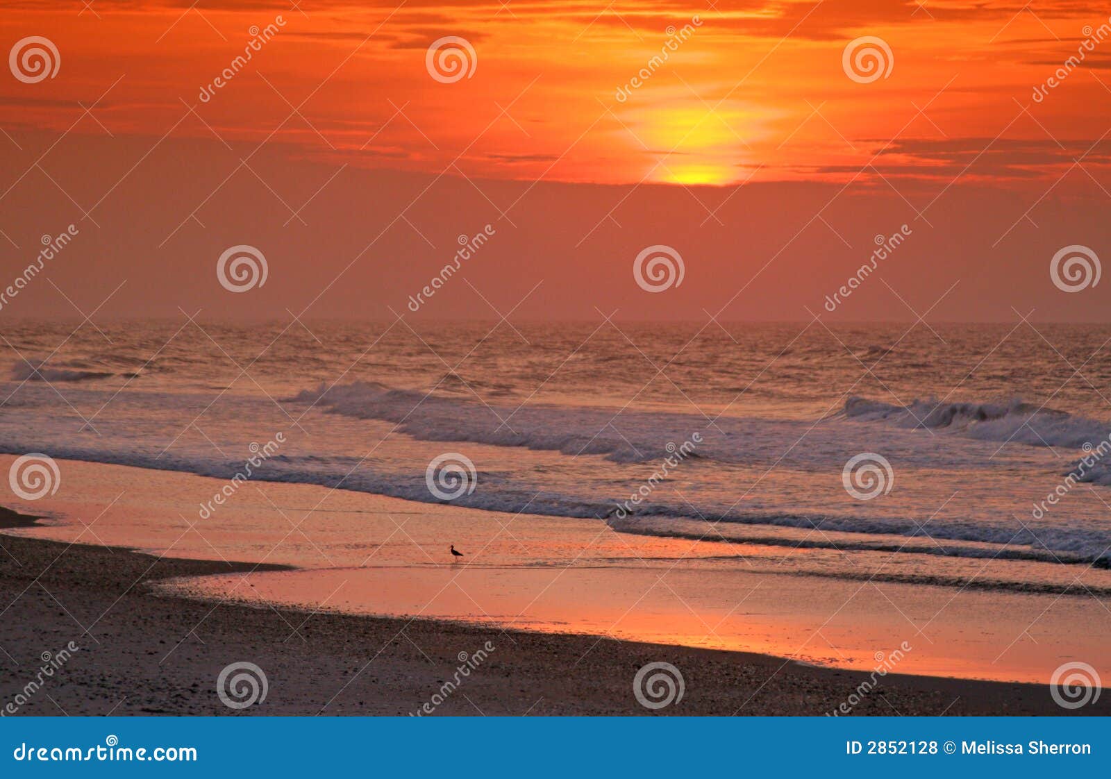 Orange sunset over beach stock photo. Image of twilight - 2852128
