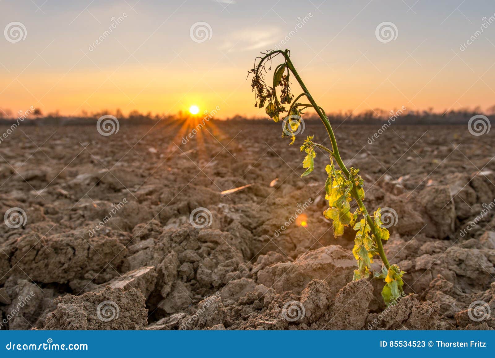 Orange Sunset Over Farmland Stock Image - Image of harvested ...