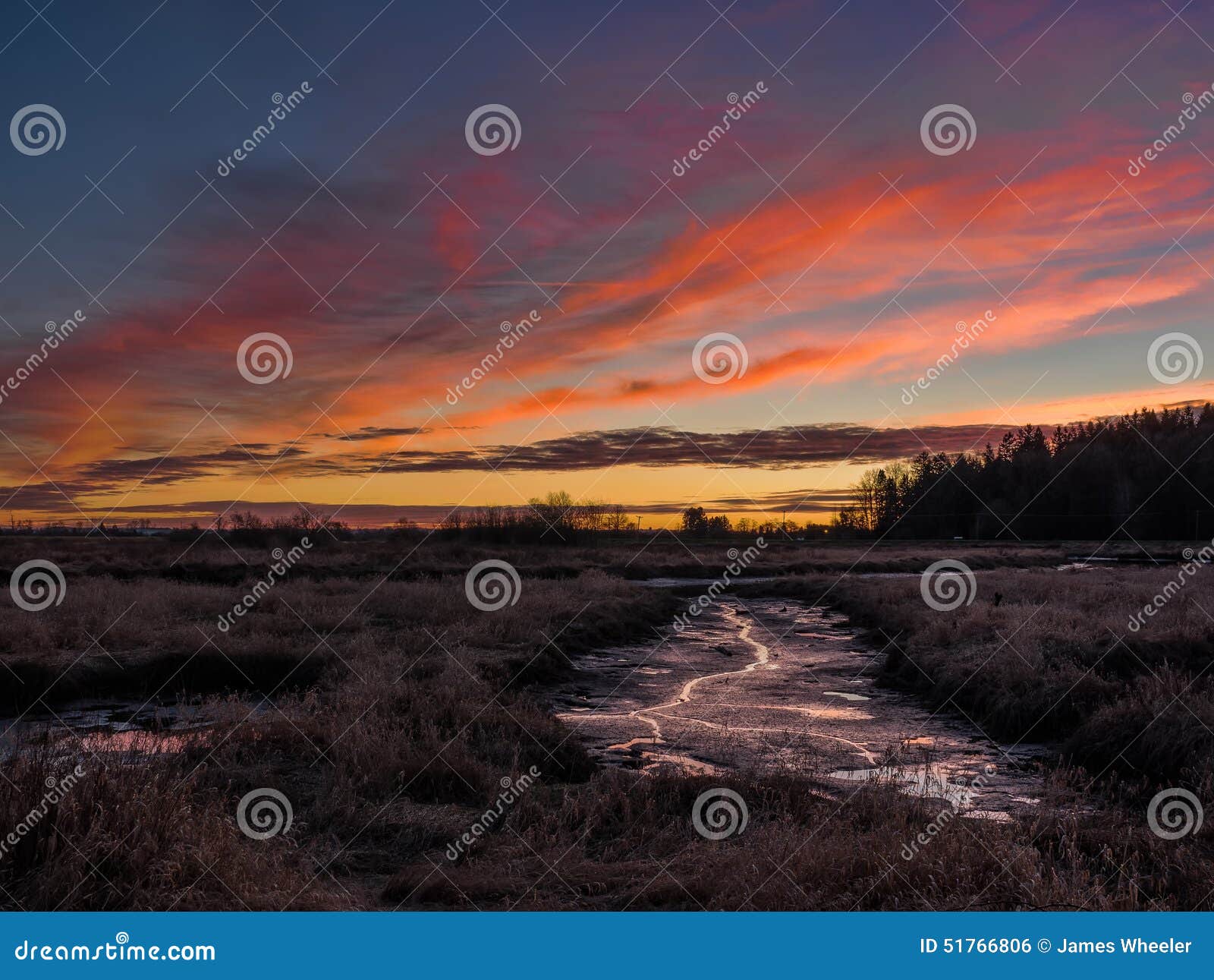 Orange Sunset Over River Bed Stock Photo - Image of season, forest ...