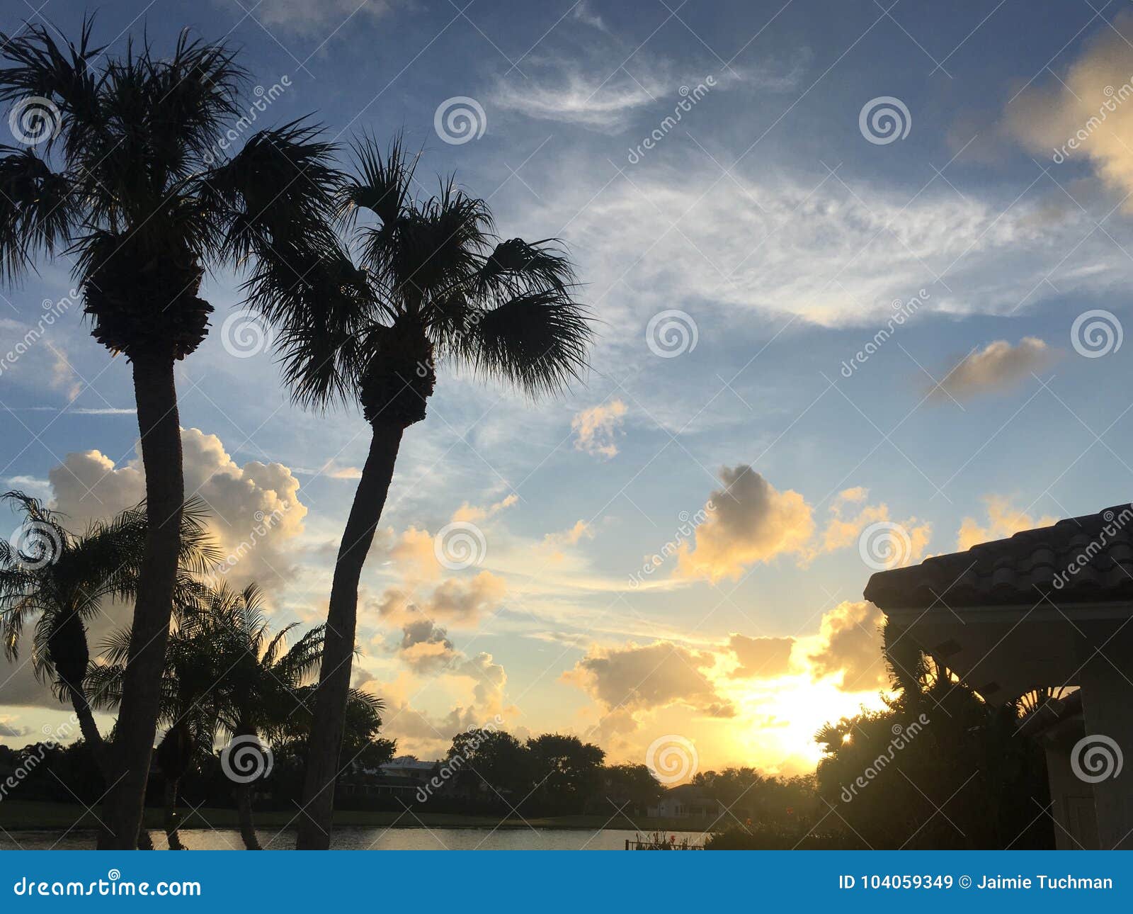 Orange Sunset and Palm Trees on an Island Stock Image - Image of ...