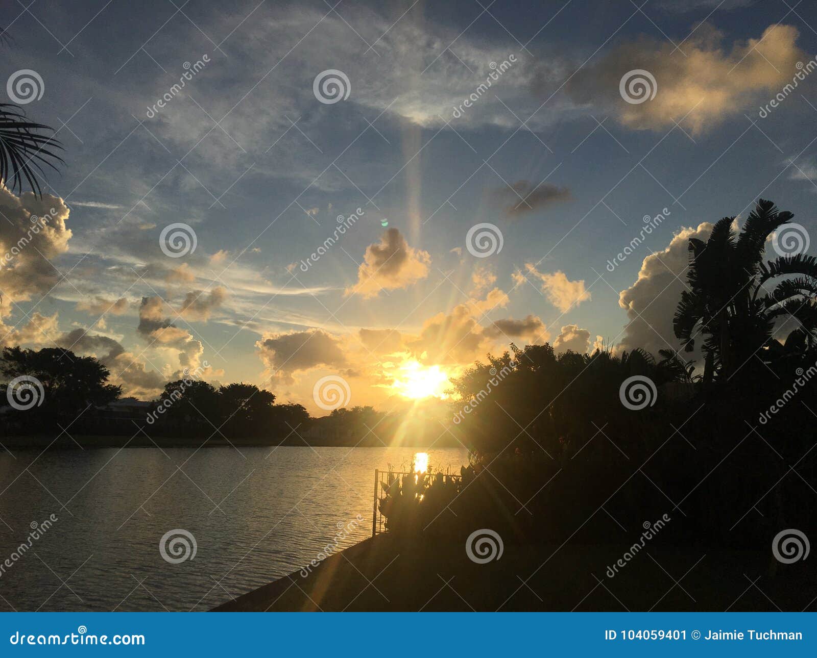 Orange Sunset and Palm Trees on an Island Stock Image - Image of ...