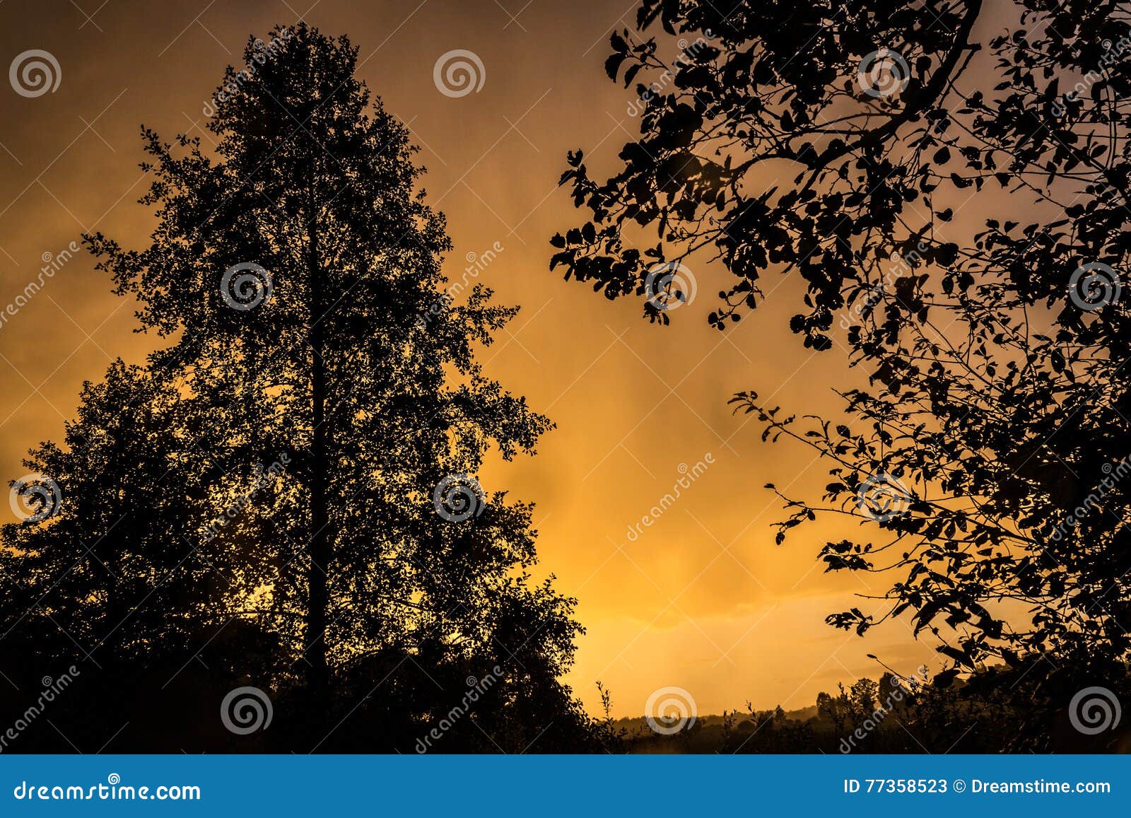 Orange sunset stock image. Image of rain, yellow, warm - 77358523