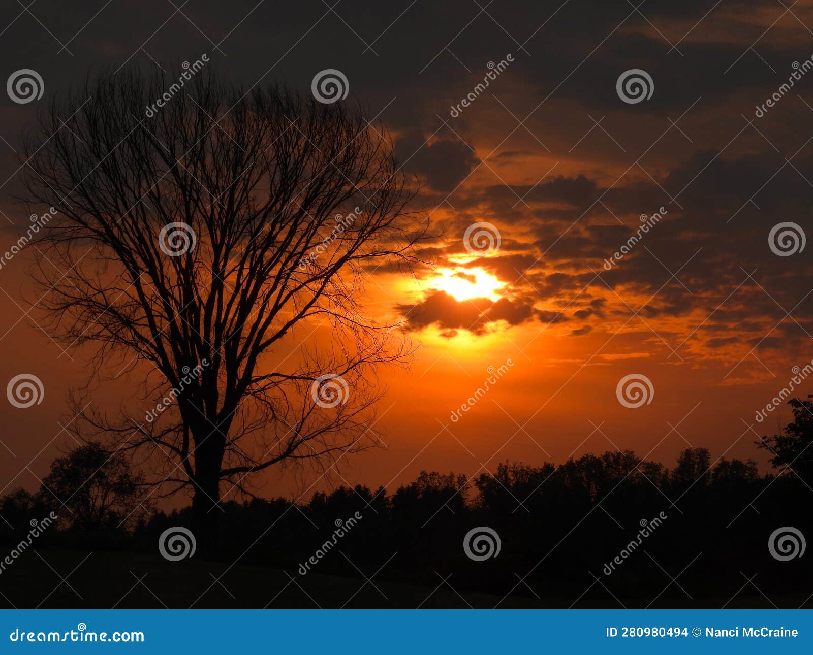 Orange Sunset Caused from Fires with Tree Silhouette. Stock Photo ...