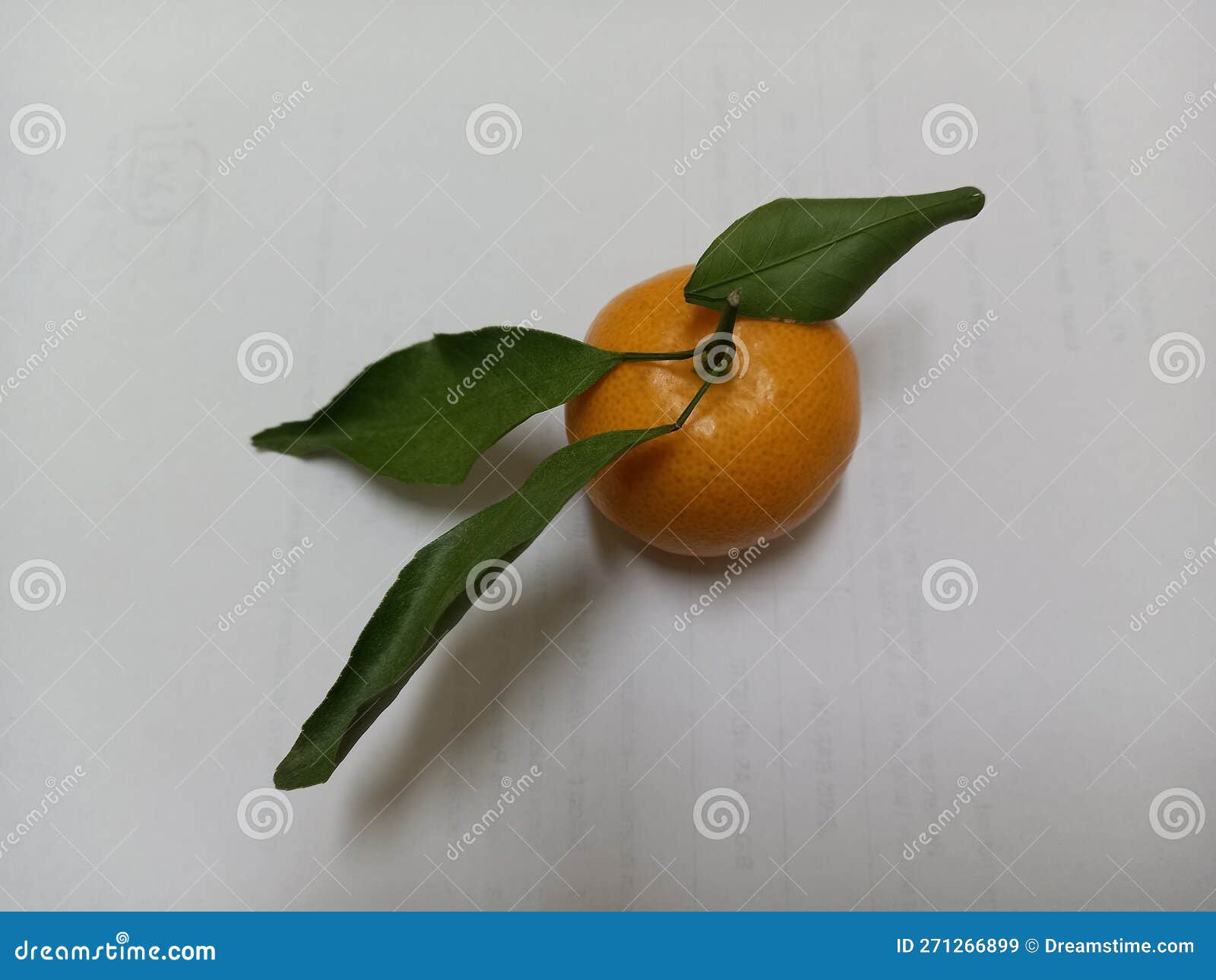 Orange on the table stock image. Image of fruit, health - 271266899