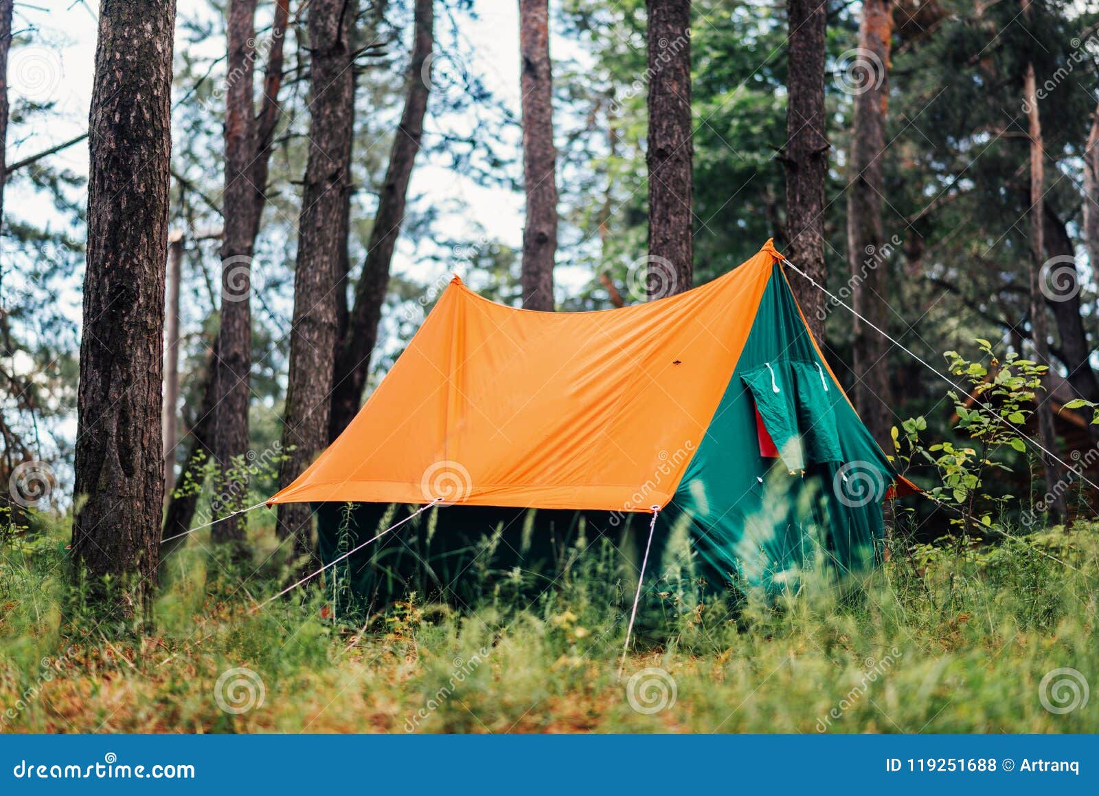 Orange Tent in Pine Forest in the Grass Stock Photo - Image of tourism ...