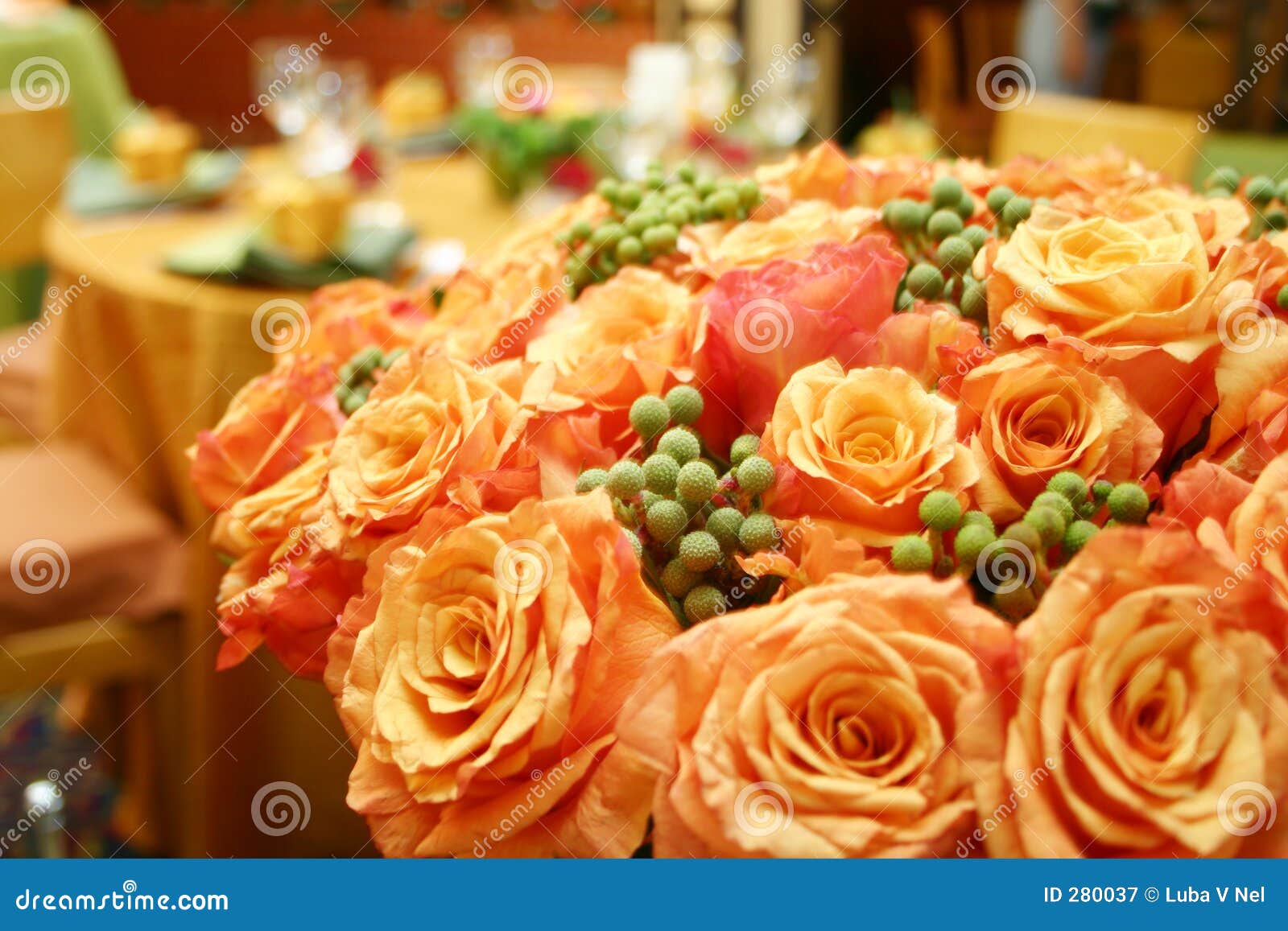 Orange thai roses 015 stock image. Image of accessory, berry - 280037