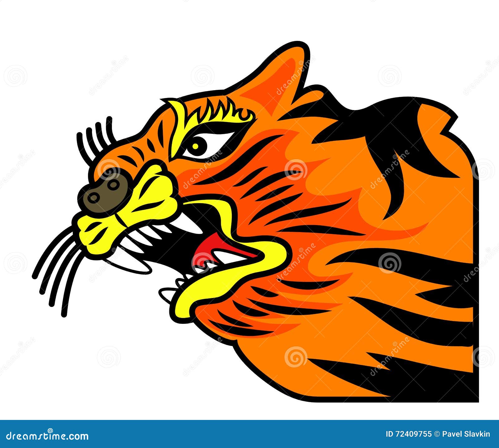 Orange tiger grin stock vector. Illustration of carnivore - 72409755
