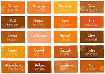Orange Tone Color Shade Background with Code and Name Stock Vector ...