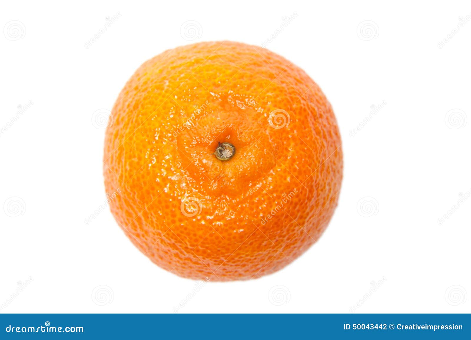 Orange top view isolated stock photo. Image of industry - 50043442