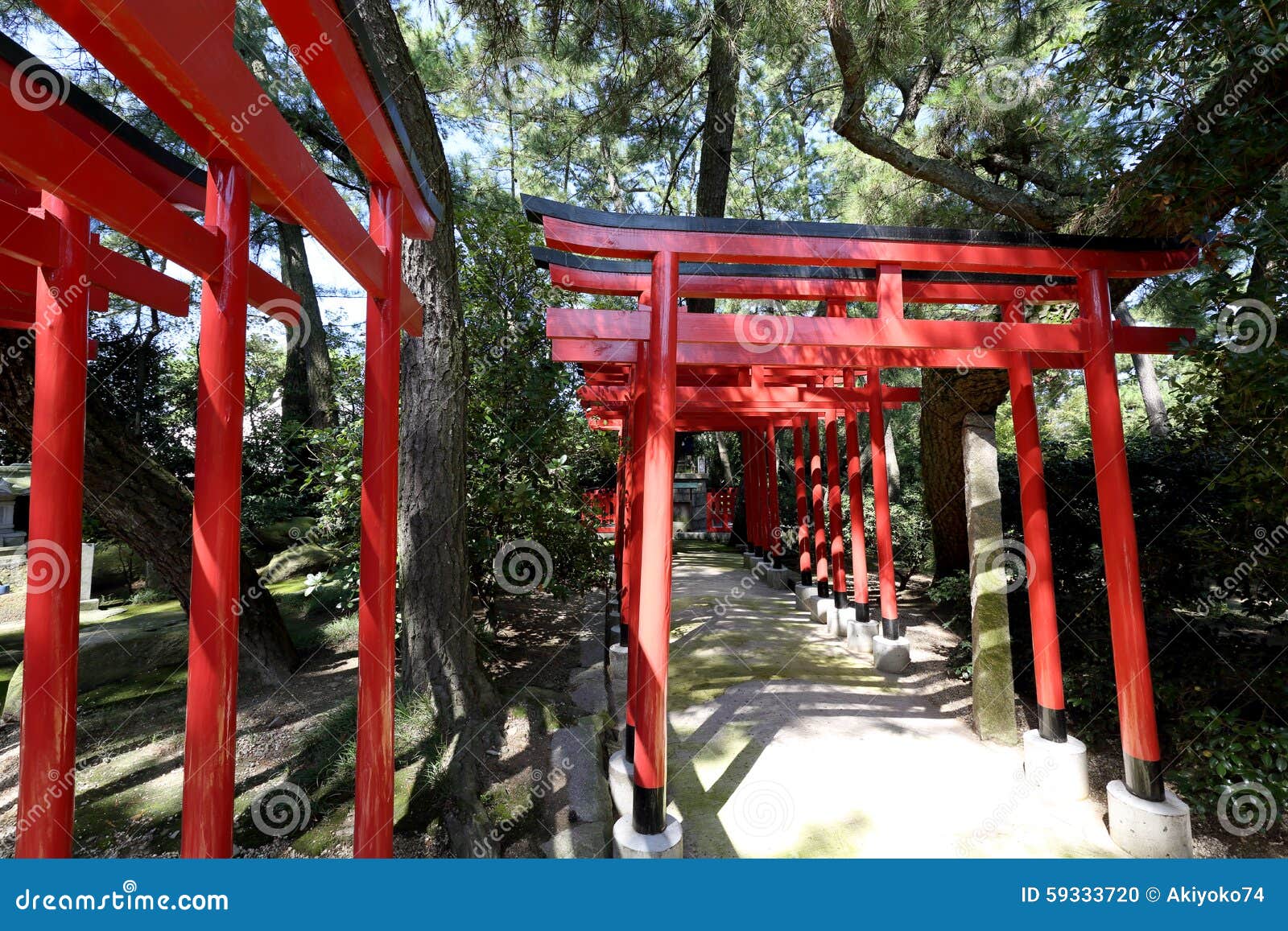 Orange Torii Of Japanese Stand On The Meadow Gras Stock Image ...
