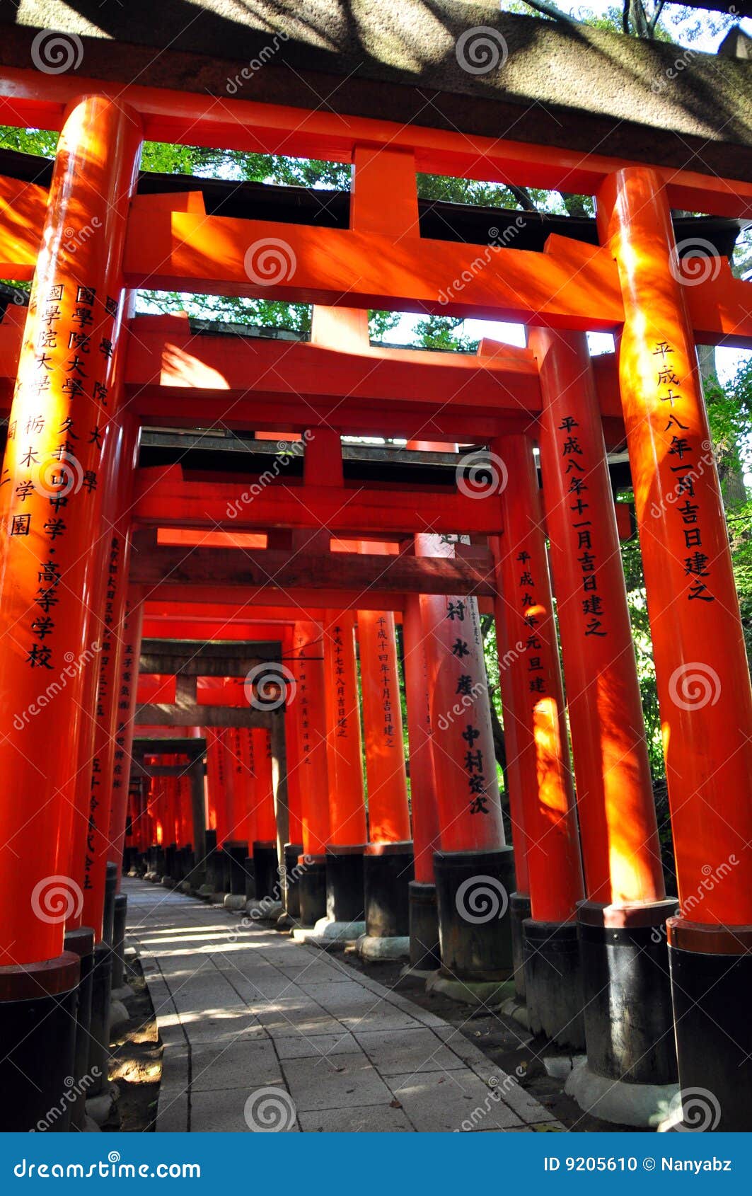 Orange Torii (s) stock photo. Image of luck, torii, tour - 9205610