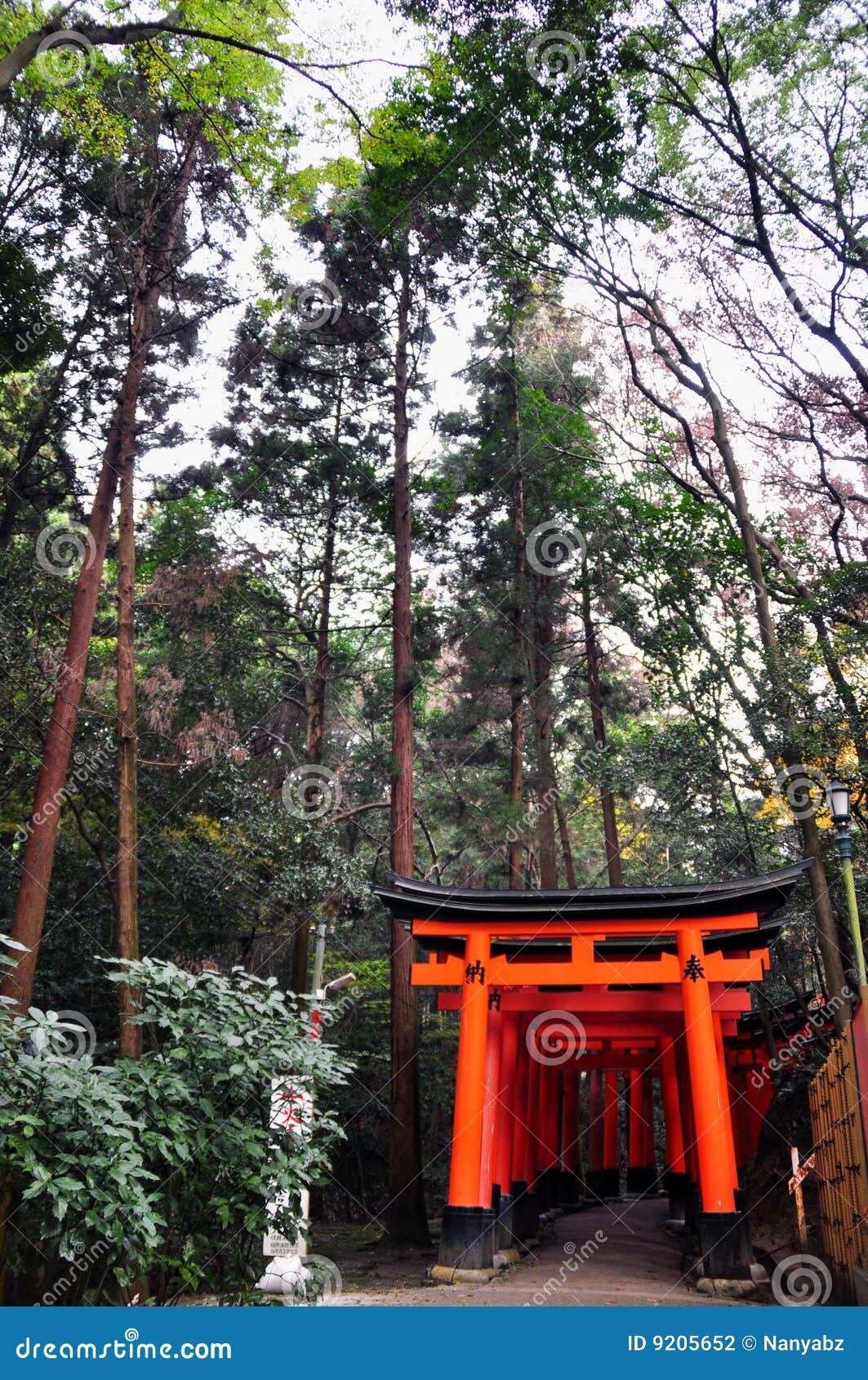 Orange Torii (s) stock photo. Image of kyoto, buddhist - 9205652