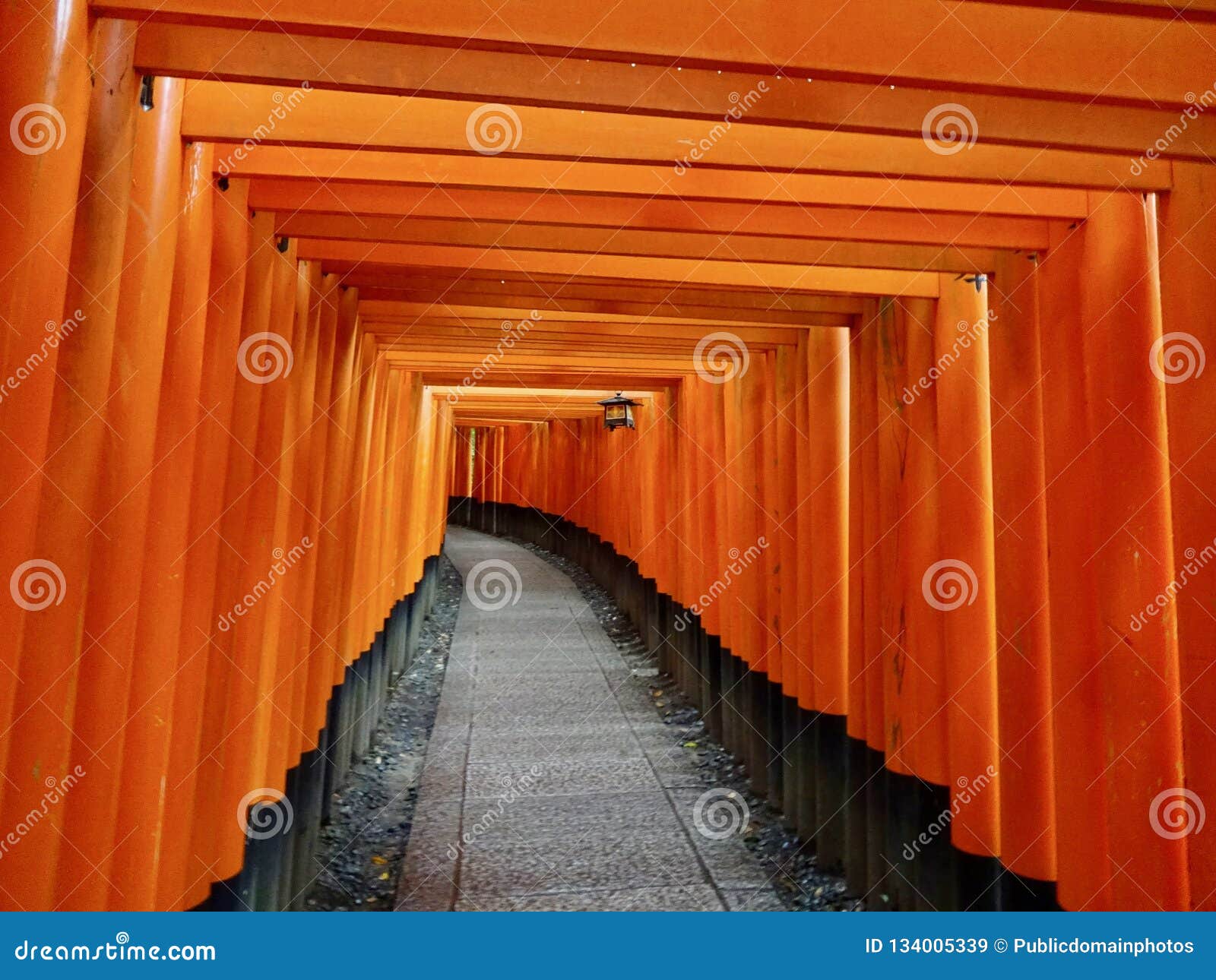 Orange, Torii, Wood, Line Picture. Image: 134005339