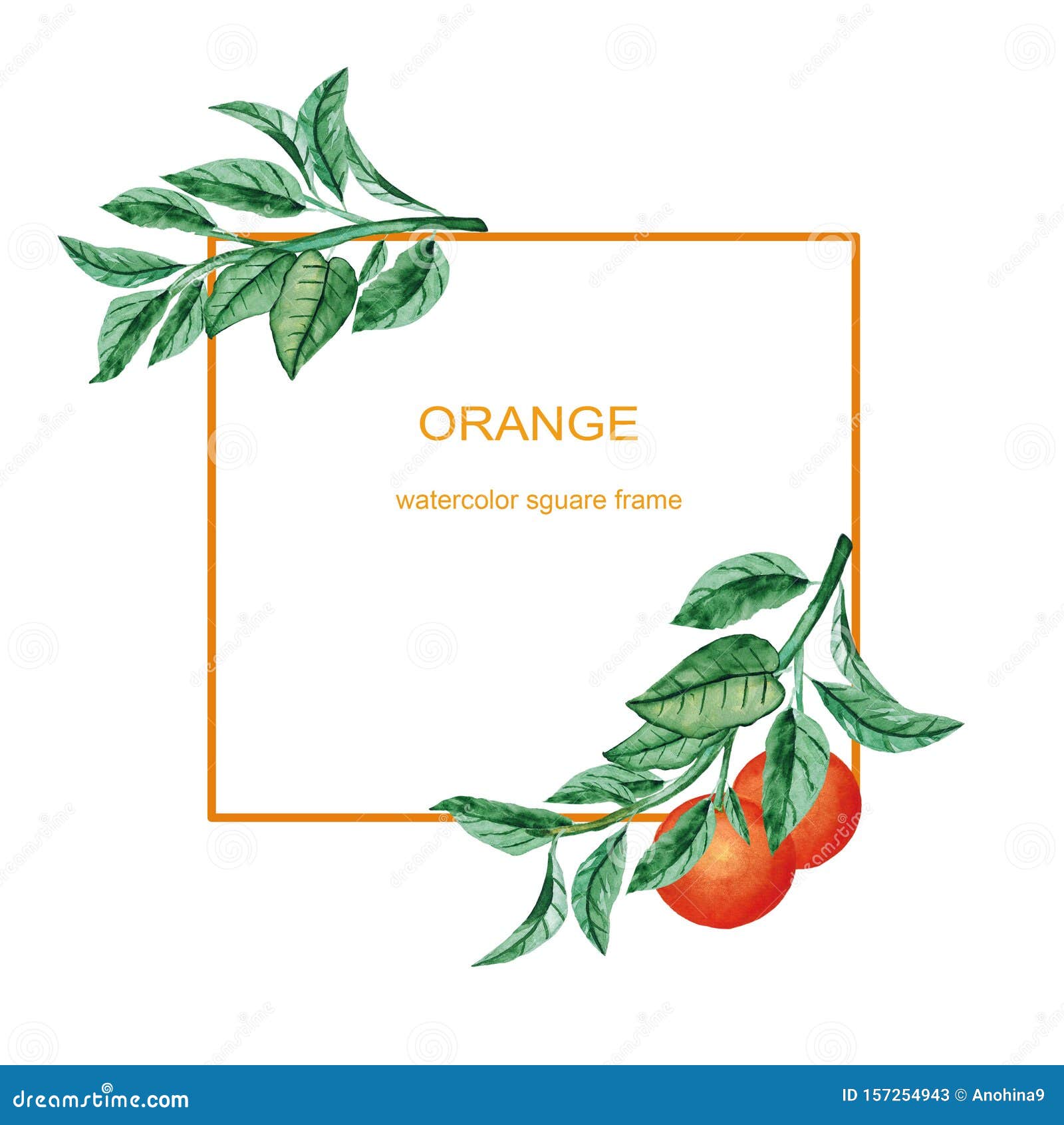 Orange Tree Branches Frame Template. Isolated Layout for Package Design ...