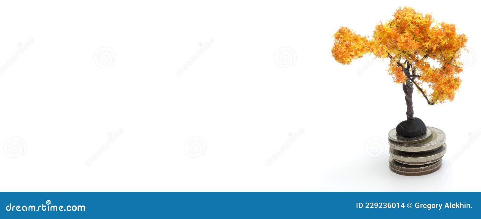 Orange Tree on the Coins. Copy Space Stock Photo - Image of elegance ...