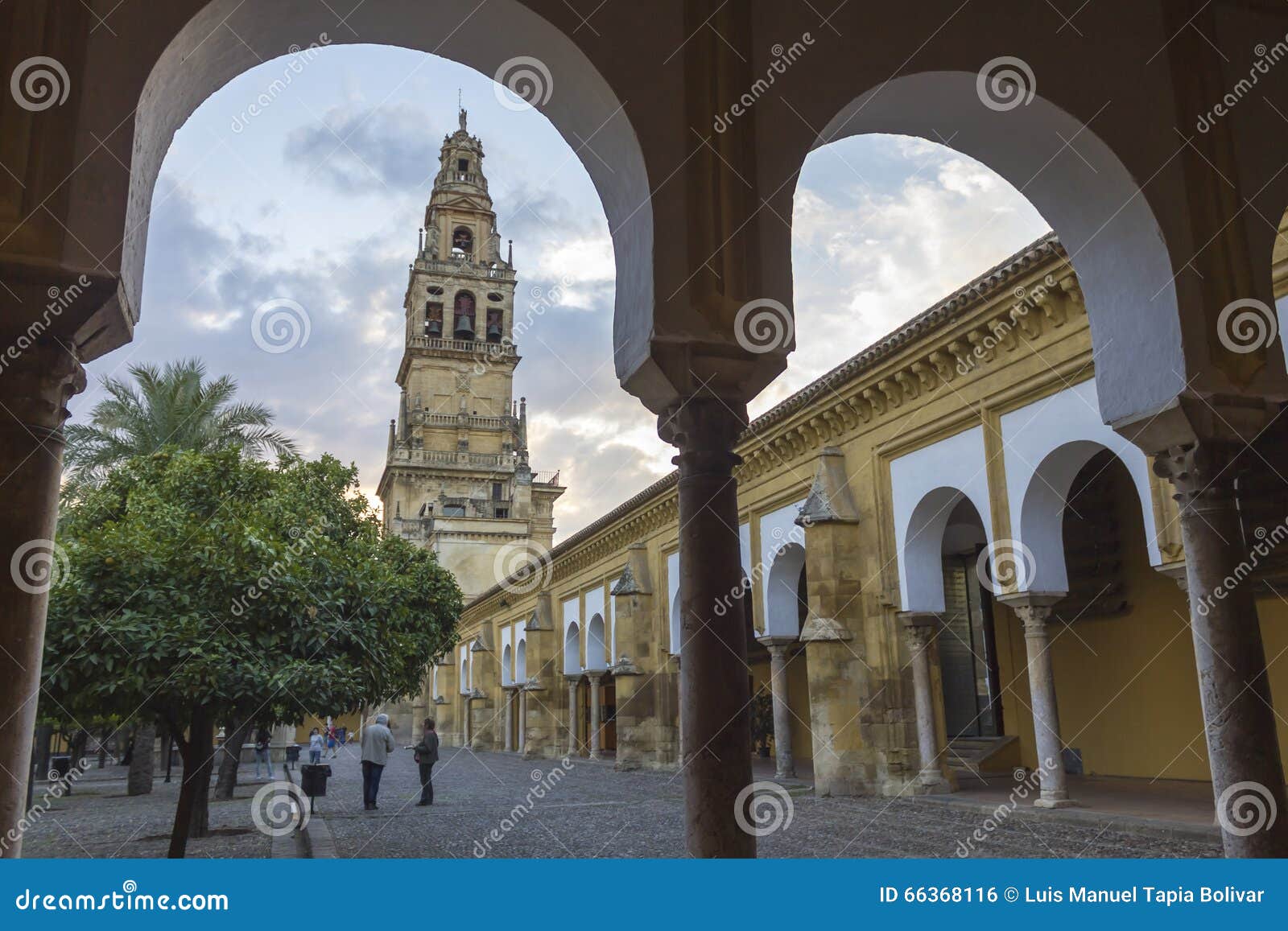 The Orange Tree Courtyard and Tower of the Mosque in Cordoba Stock ...