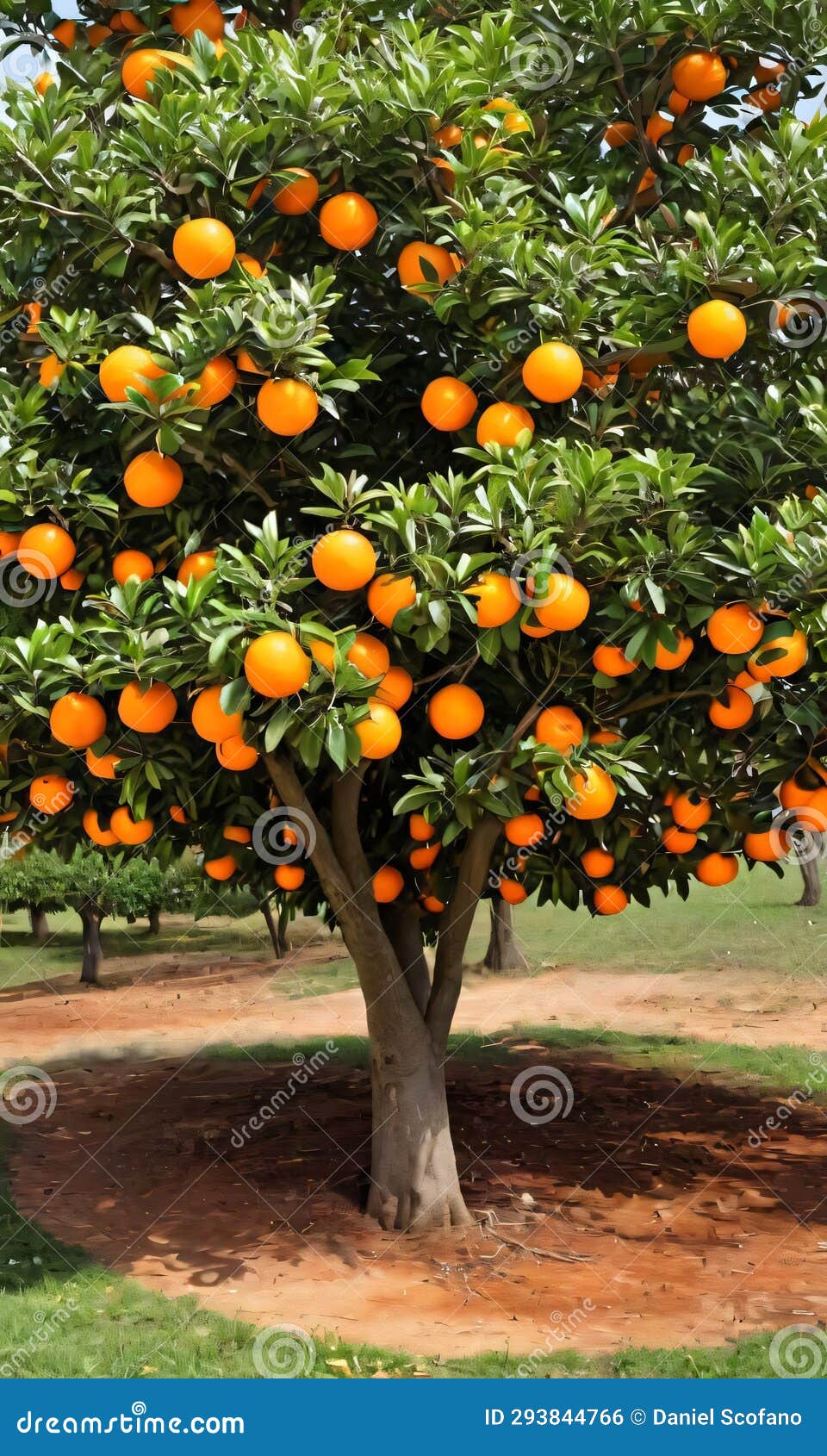 Orange Tree. Generative AI stock illustration. Illustration of outdoors ...