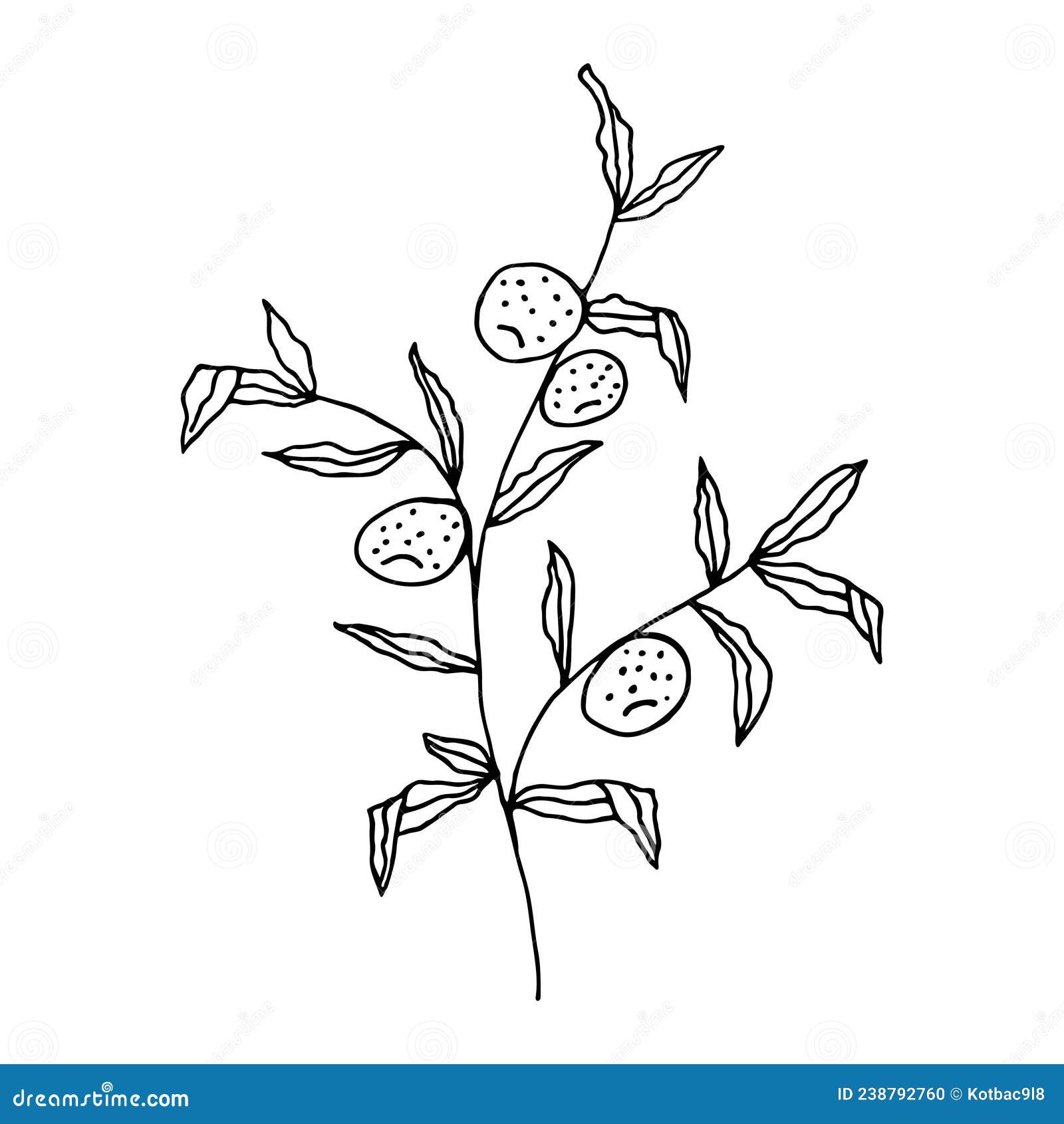 An Orange Tree Hand-drawn in Doodle Style. Stock Vector - Illustration ...